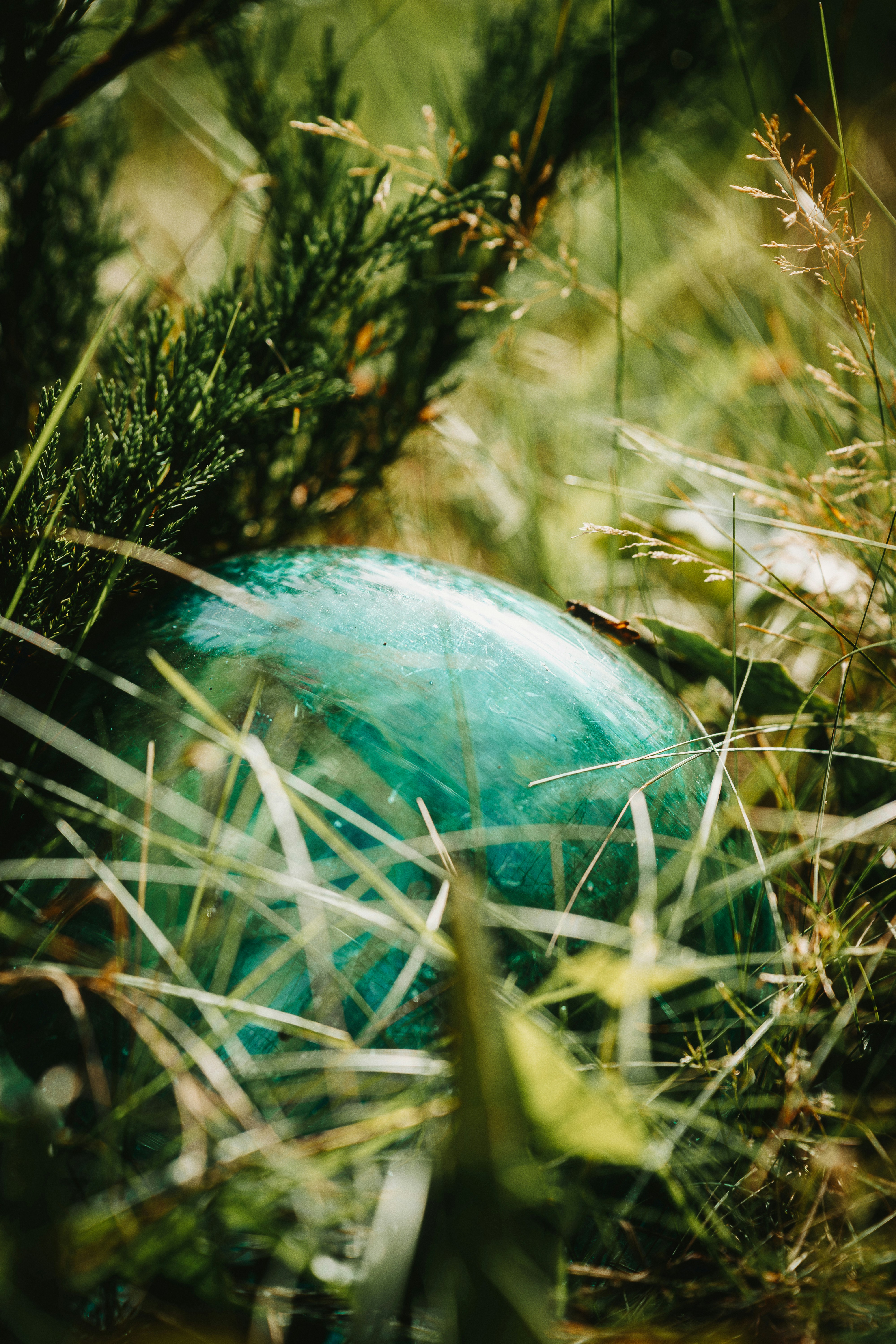 Teal Glass Orb Among Sunlit Grass: A Quiet Macro Moment