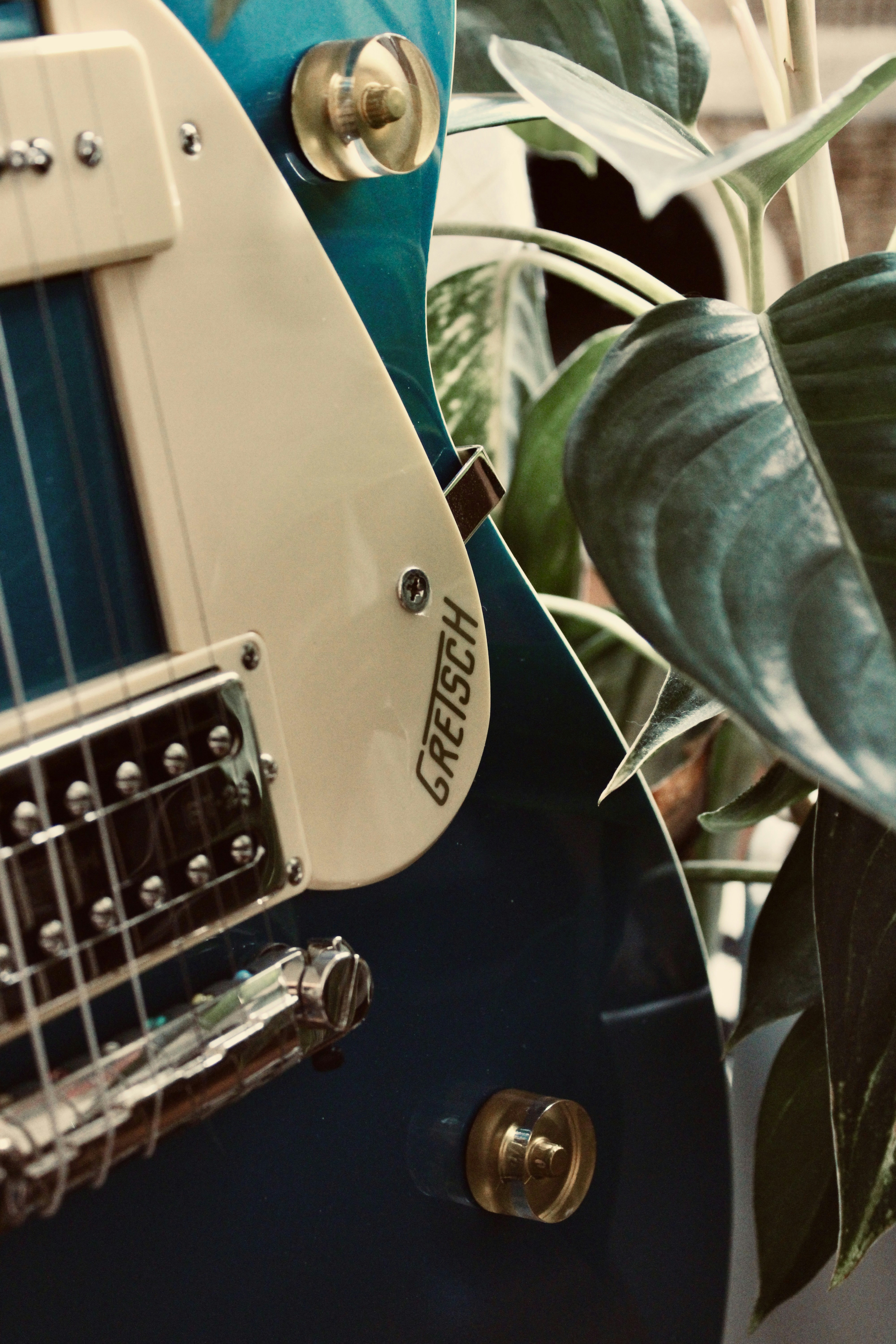 Gretsch guitar body in a sunlit corner among houseplants