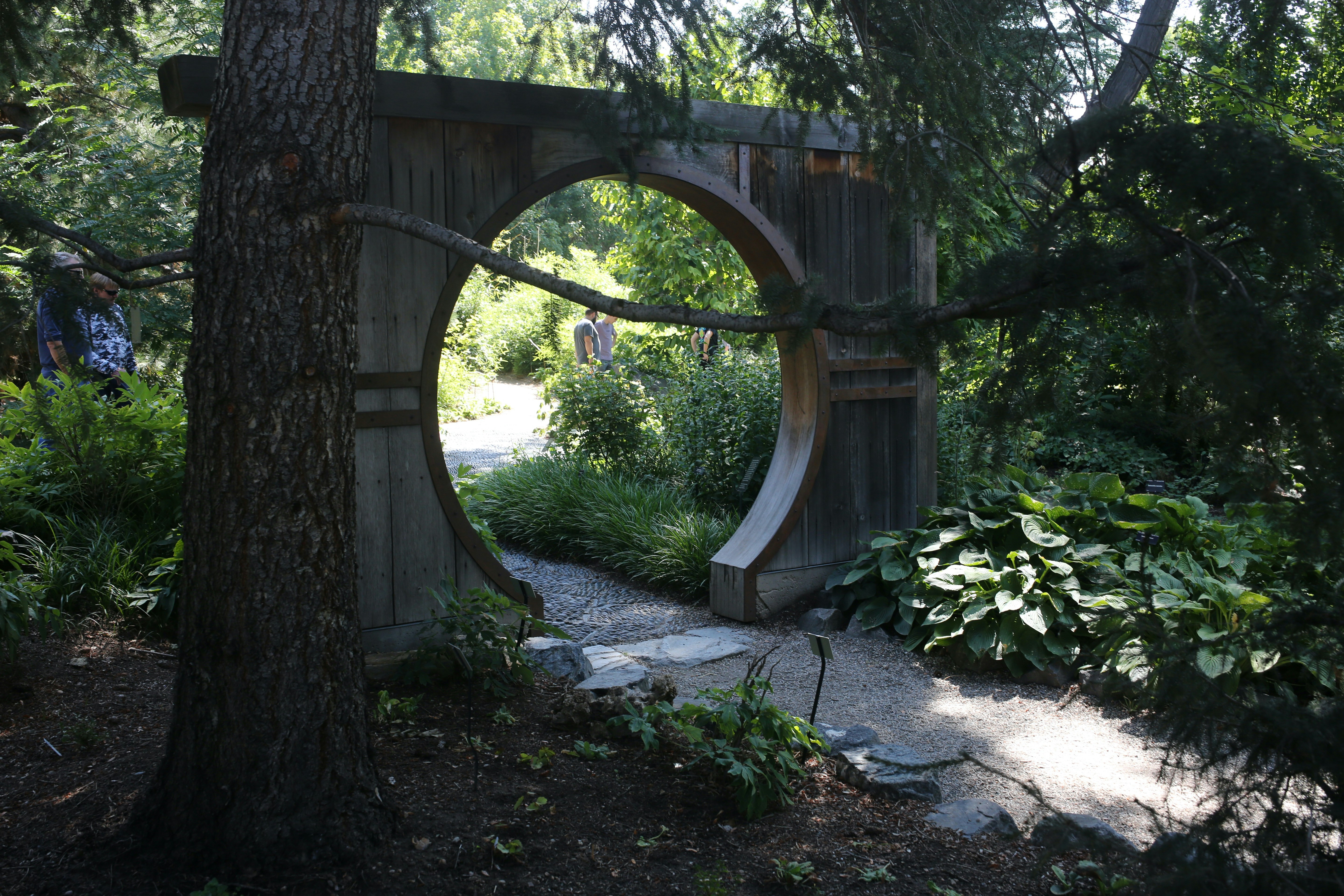 Moon-Gate Moment: A Quiet Garden Portal Framed in Dappled Light