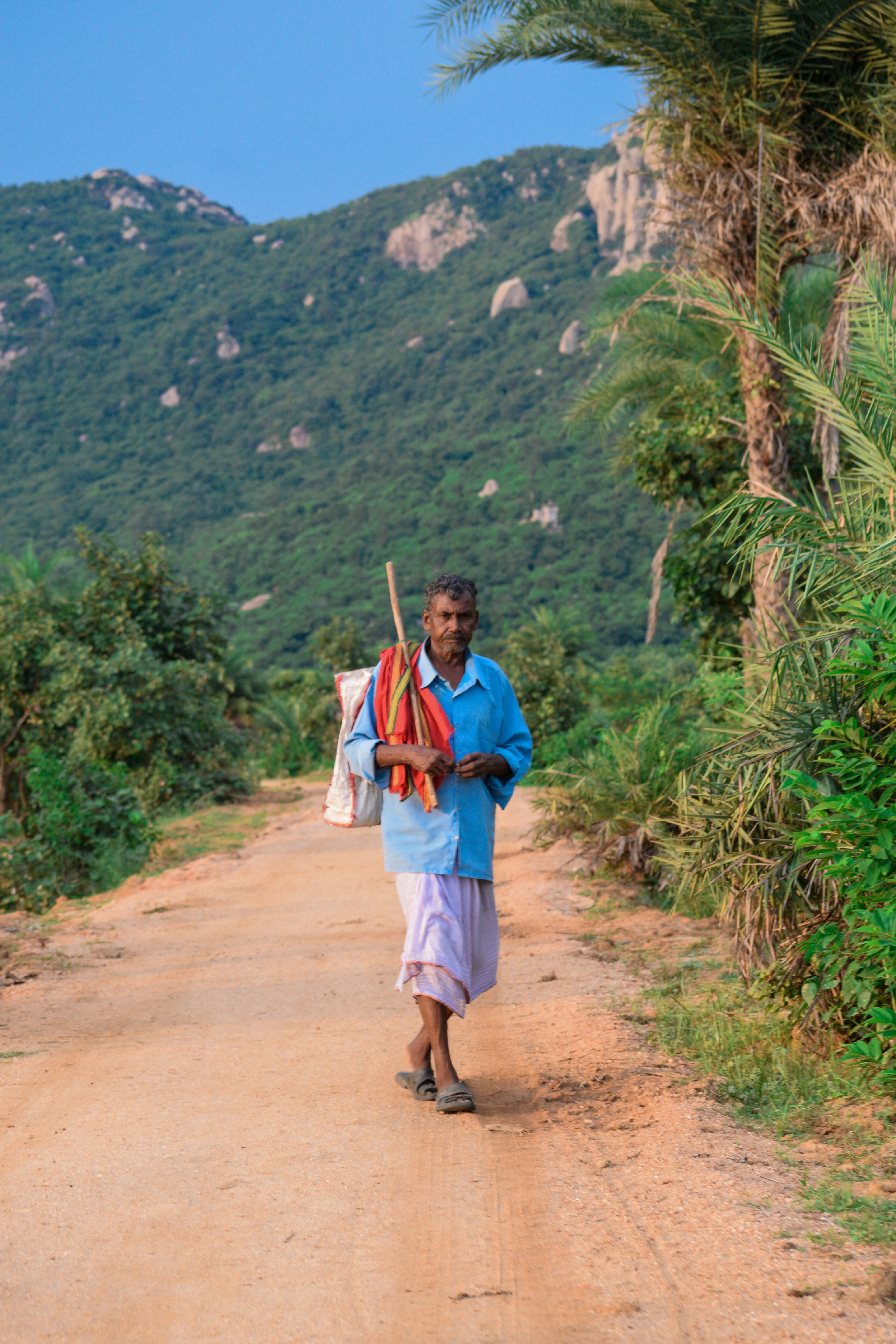 Lonely Path: A Day in the Villager’s Quiet Route