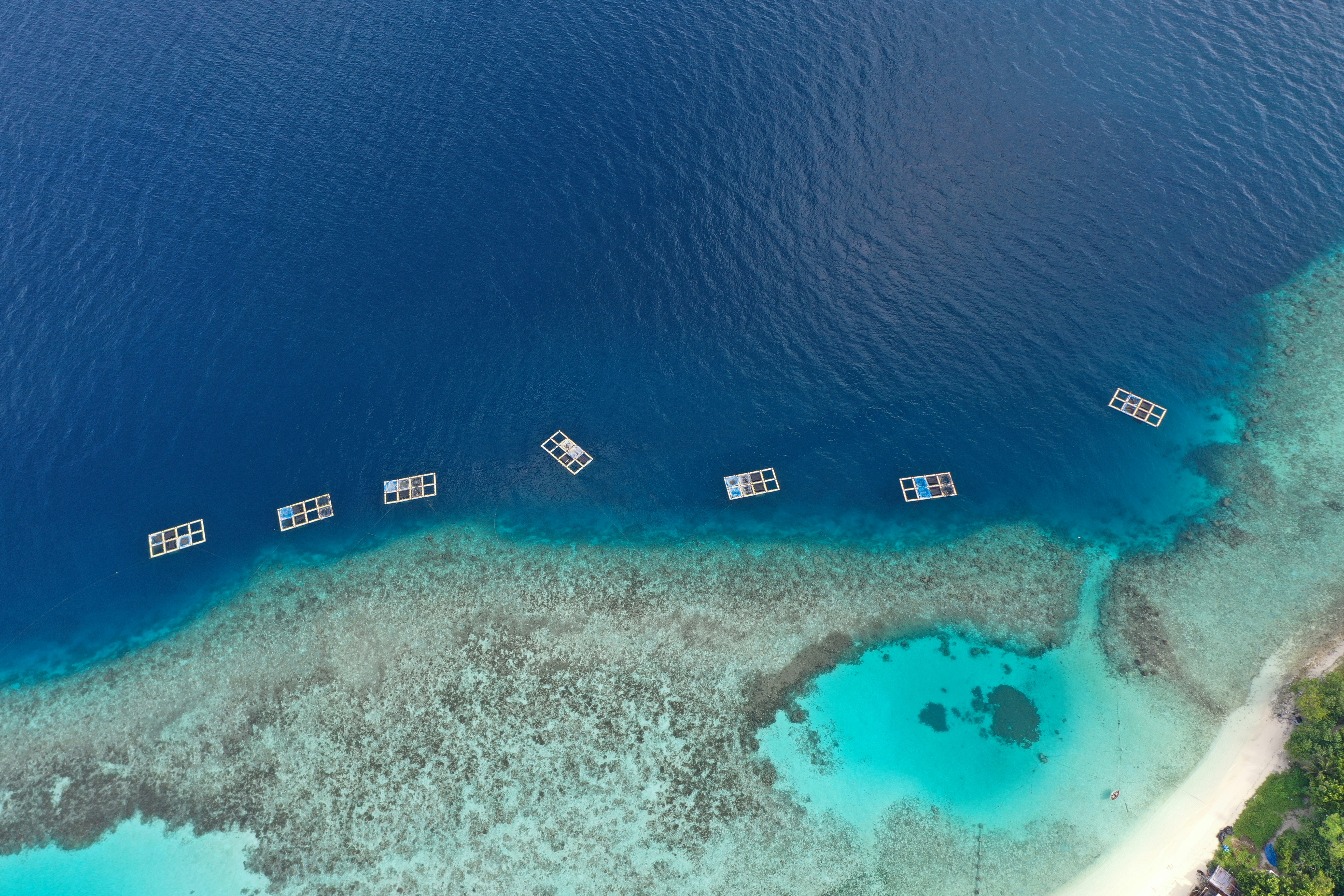 Azure Edge: A String of Floating Platforms Framing a Coral Reef