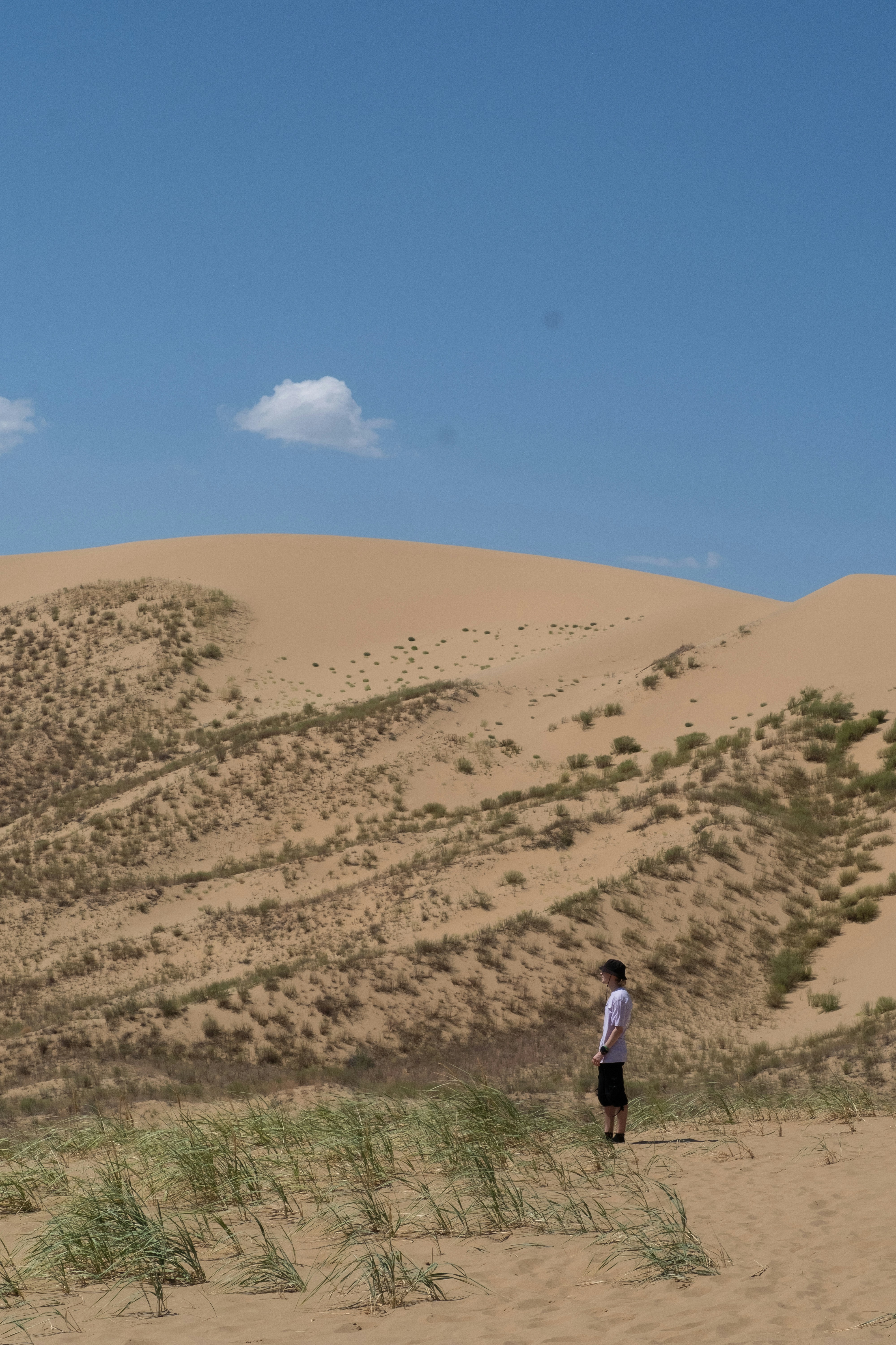Where Sand Ends and Sky Begins: A Lone Seeker in the Dunes