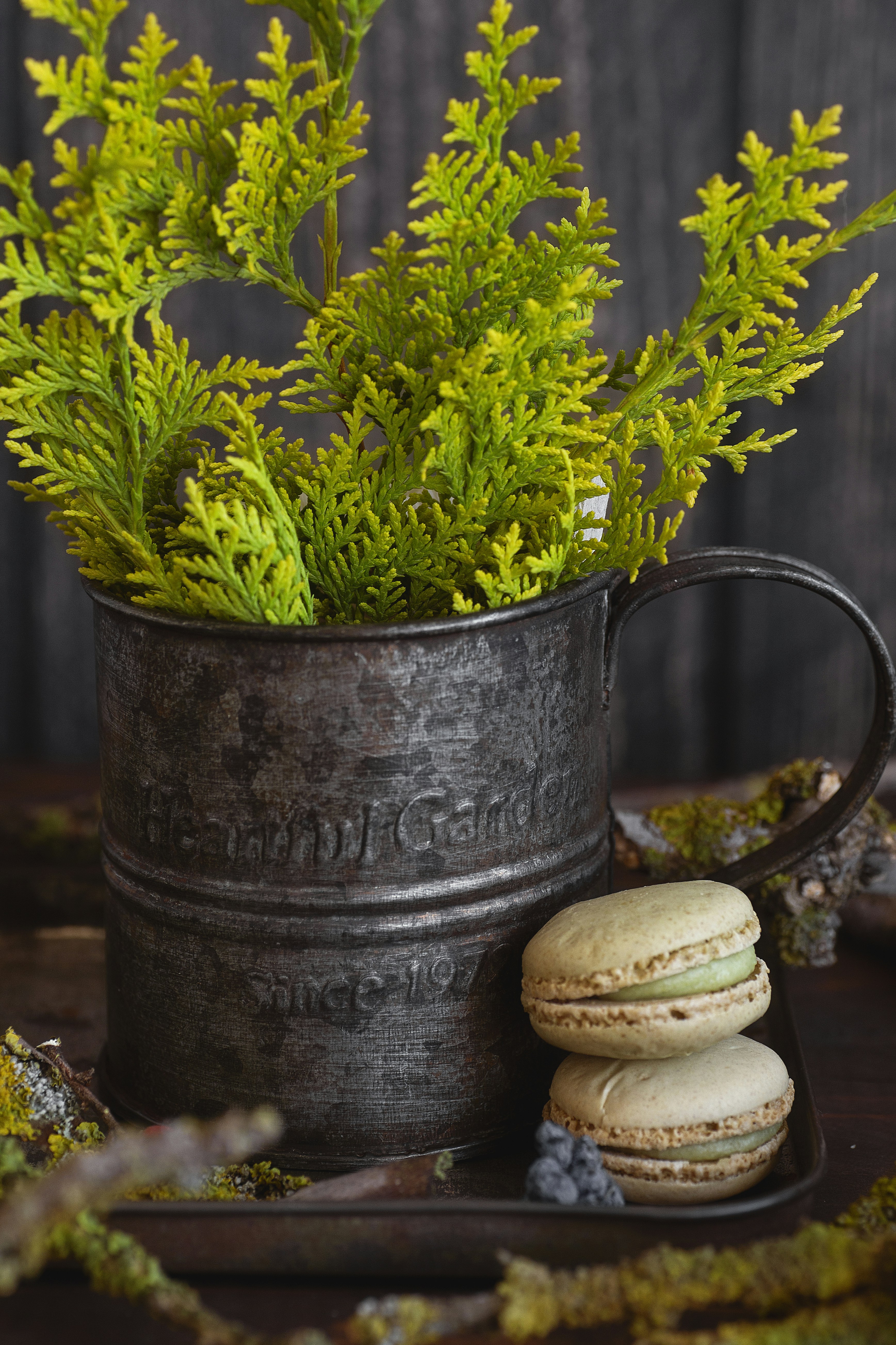 Verdant Sprigs in a Tarnished Mug: Rustic Still-Life of Greenery and Macarons