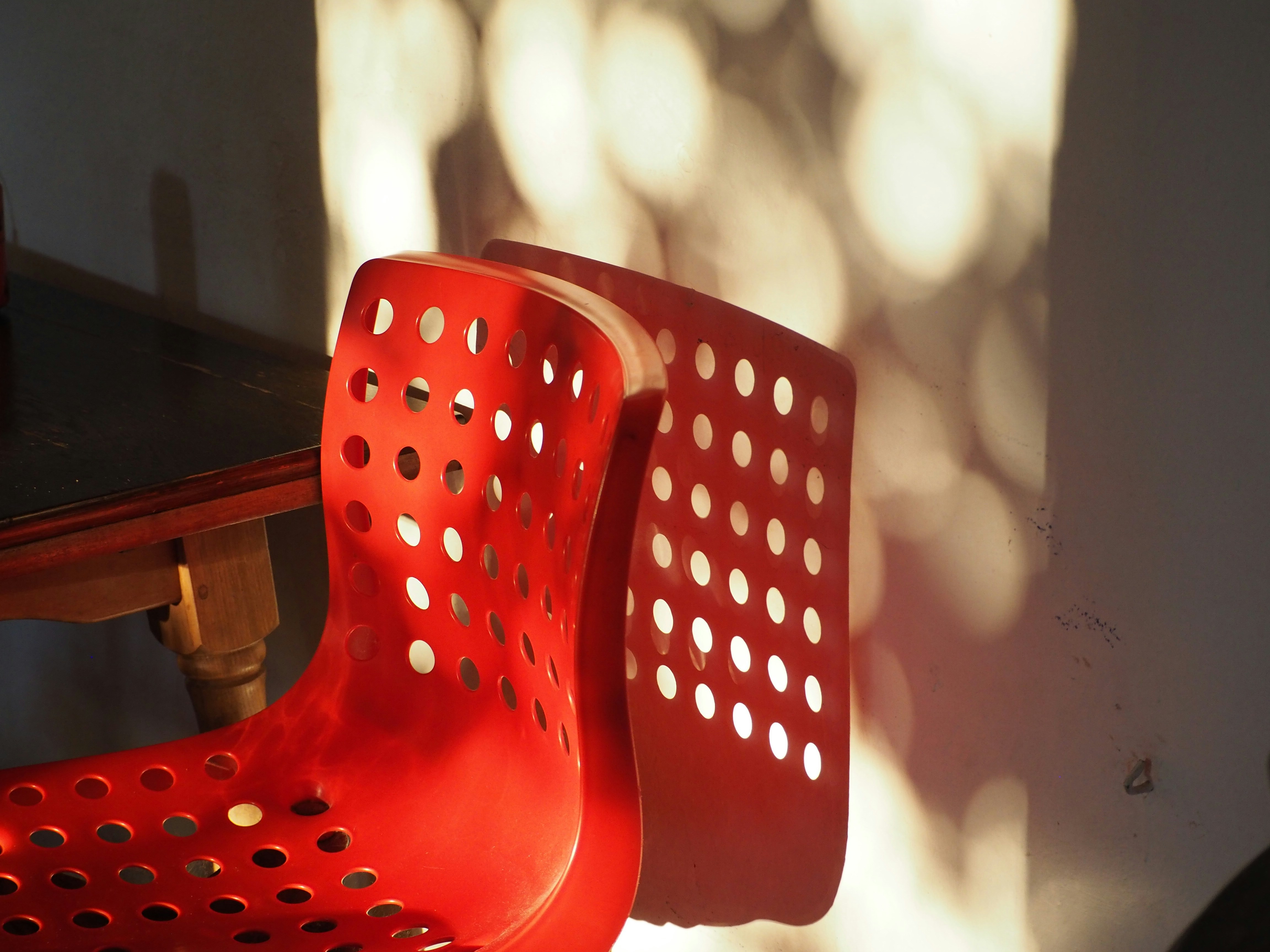 Photo by Pilar Rubio with Olympus OM-D E-M10 Mark II