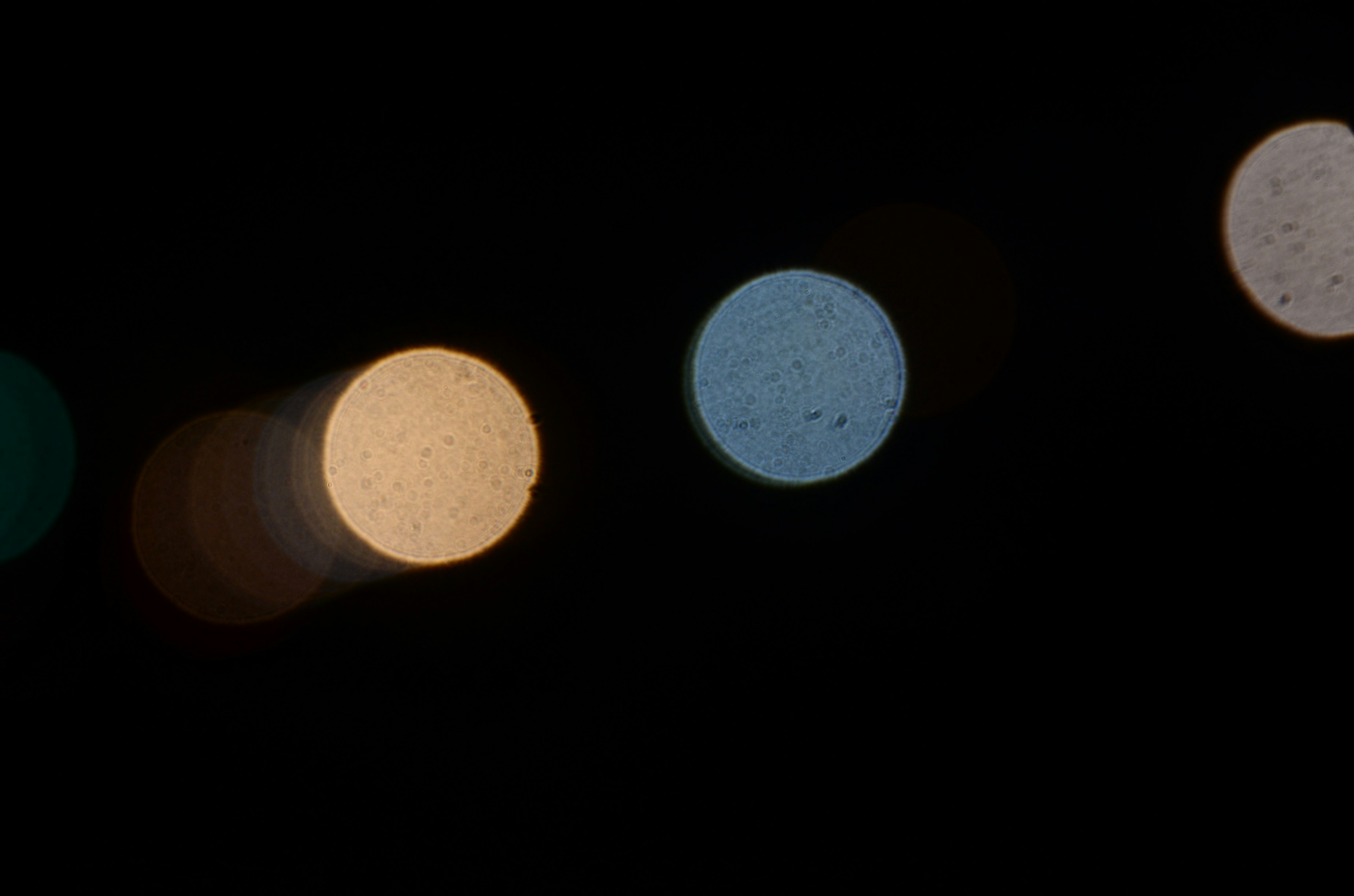 Luminescent Orbs in the Night