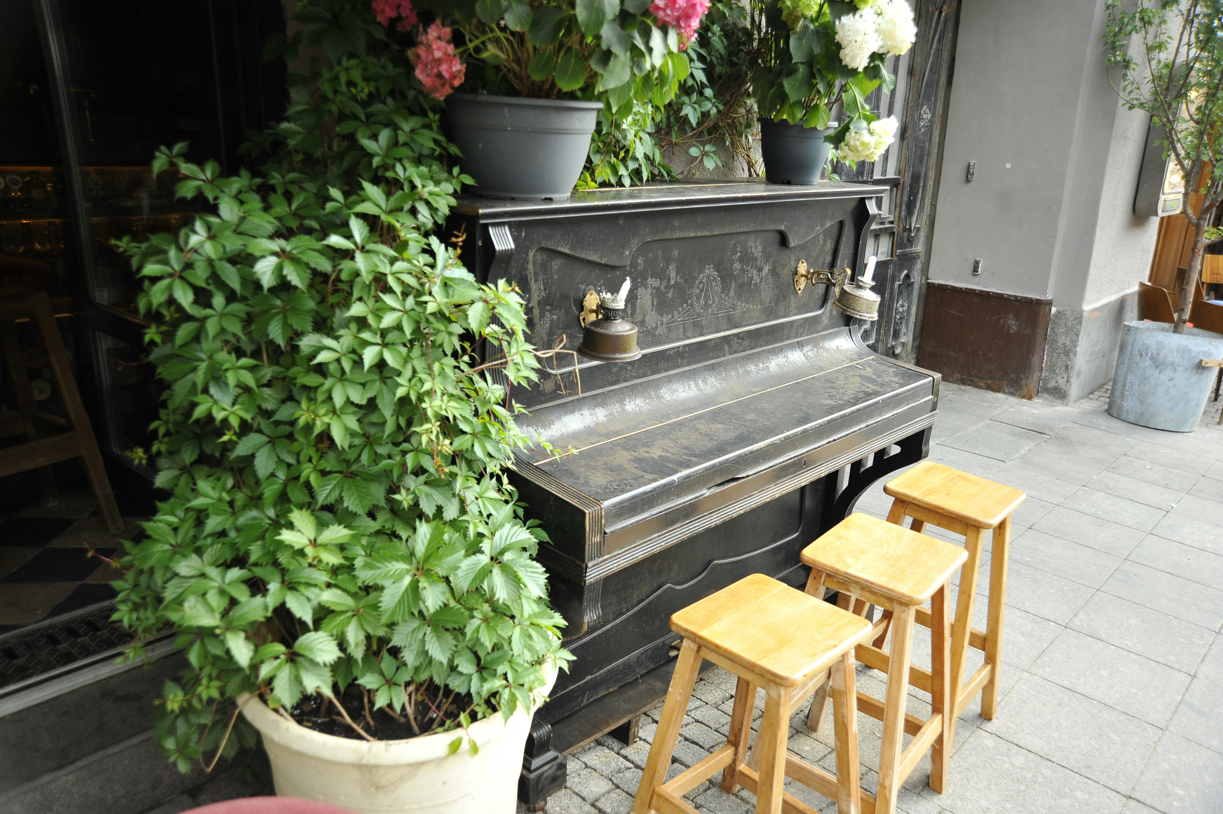 Hidden Keys: An Upright Piano Embraced by Greenery on a City Sidewalk