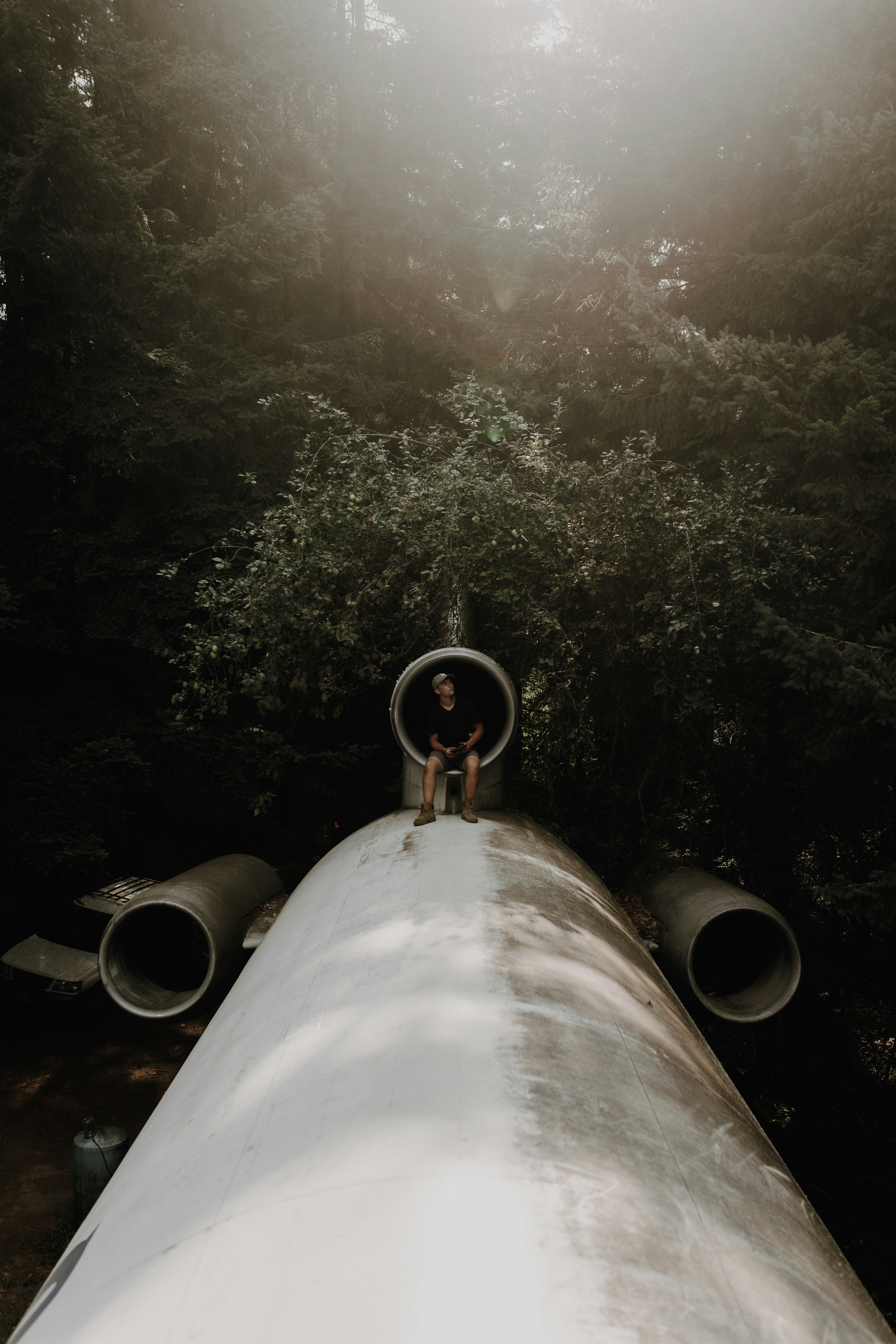 Person perched on a weathered pipe amid a dim, forested inlet