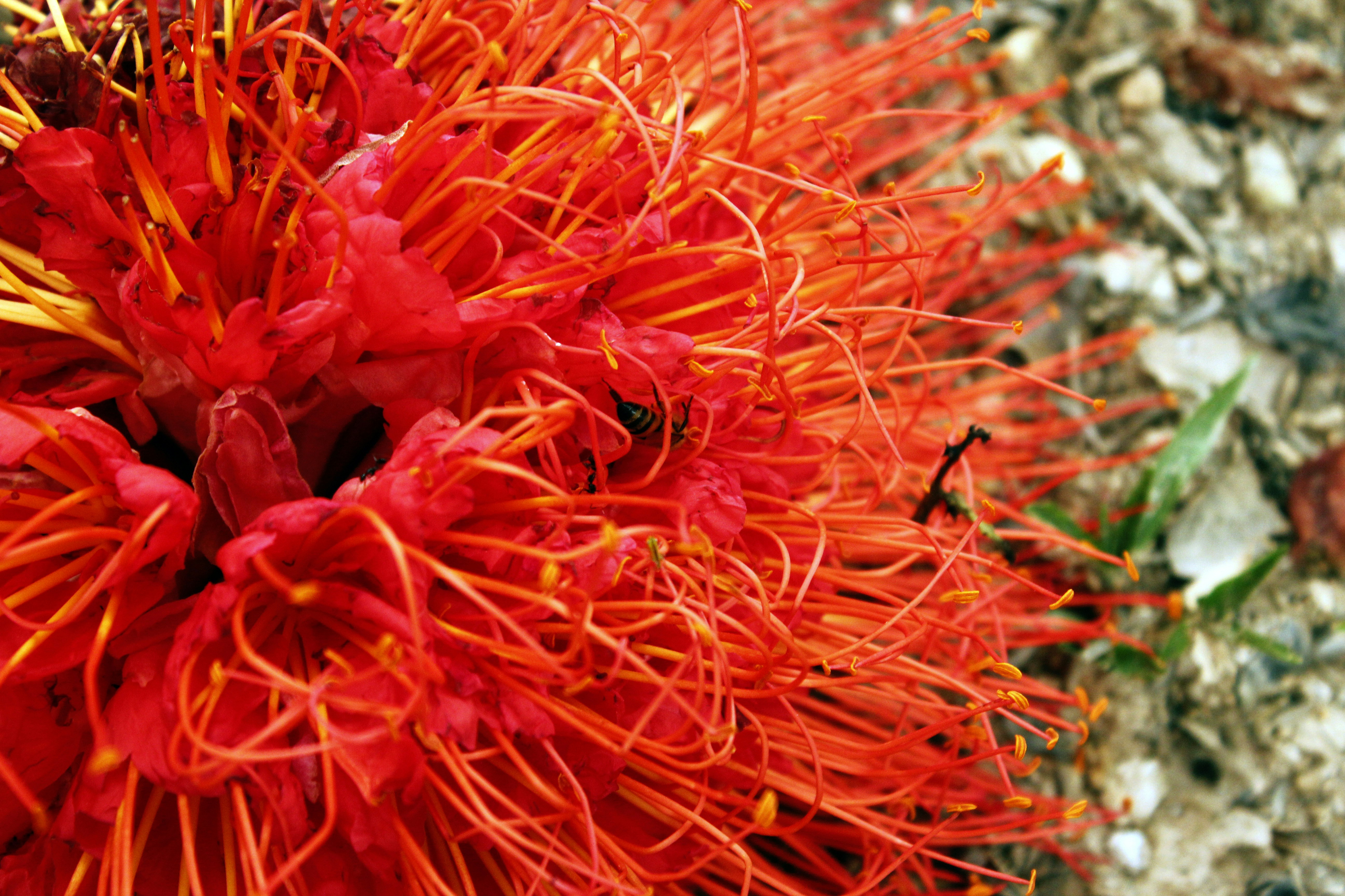 Photo by Eduardo Gonzalez with Canon EOS 550D