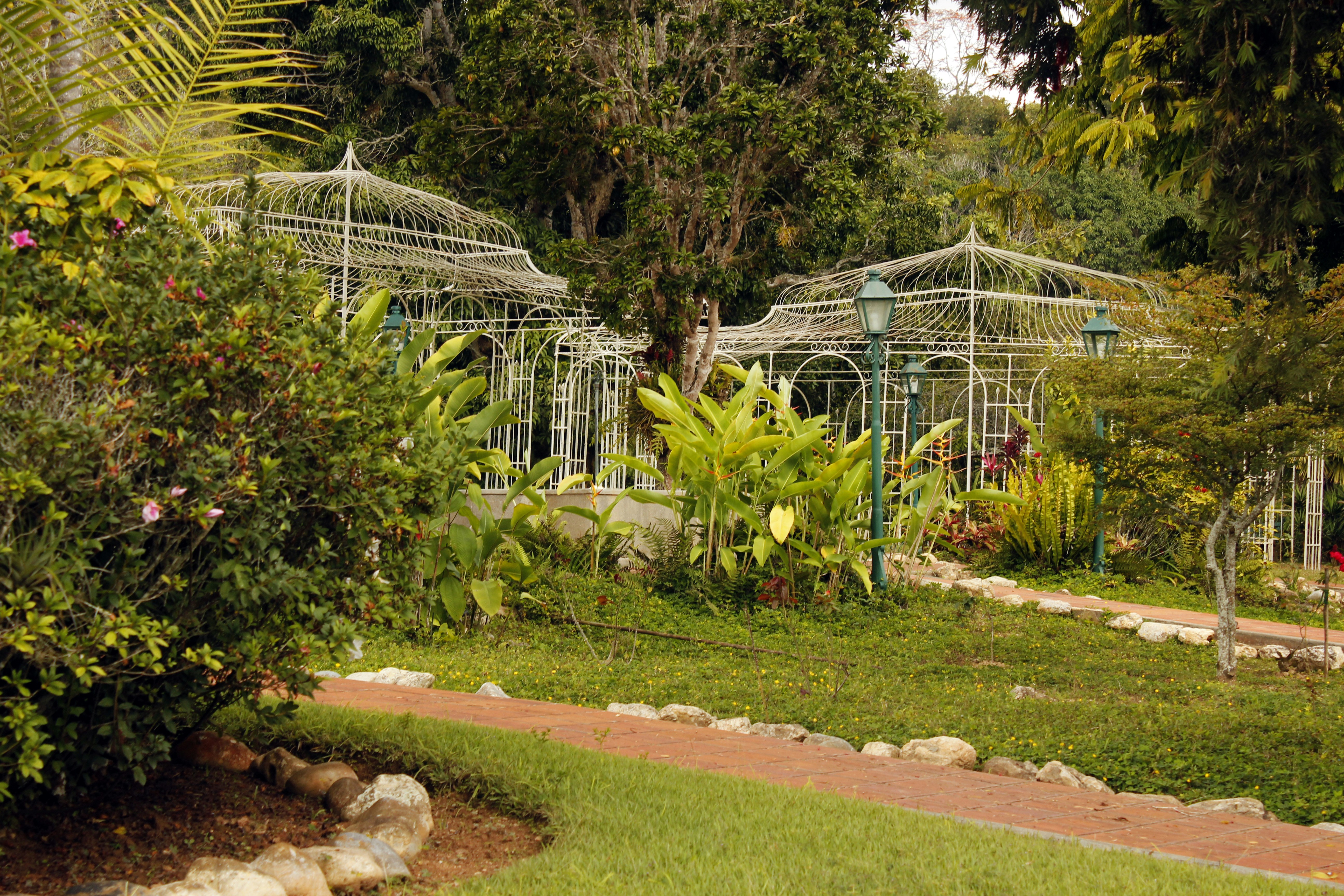 White Iron Courtyard in Bloom: A Garden Corridor