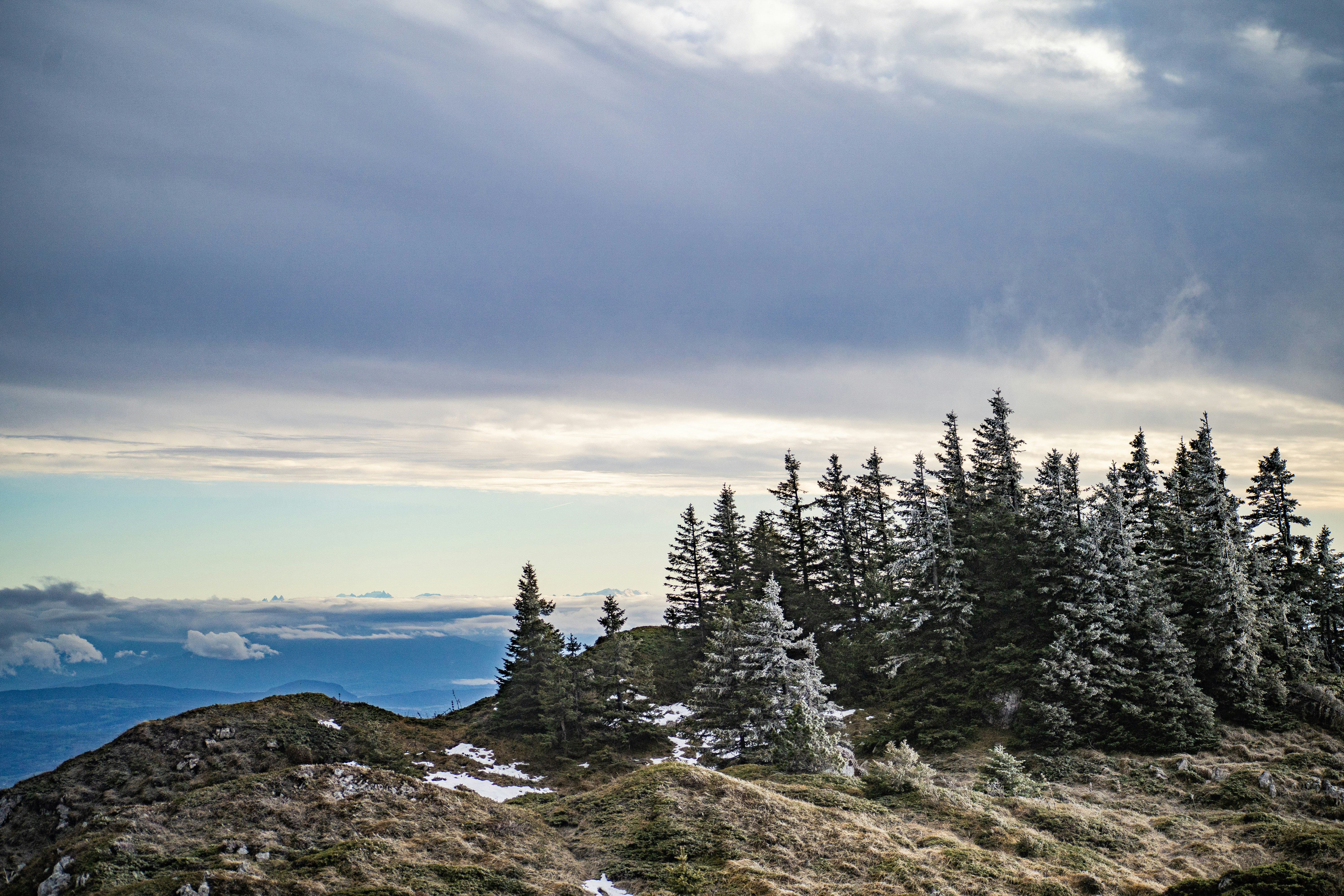 Enjoying french Jura mountains.