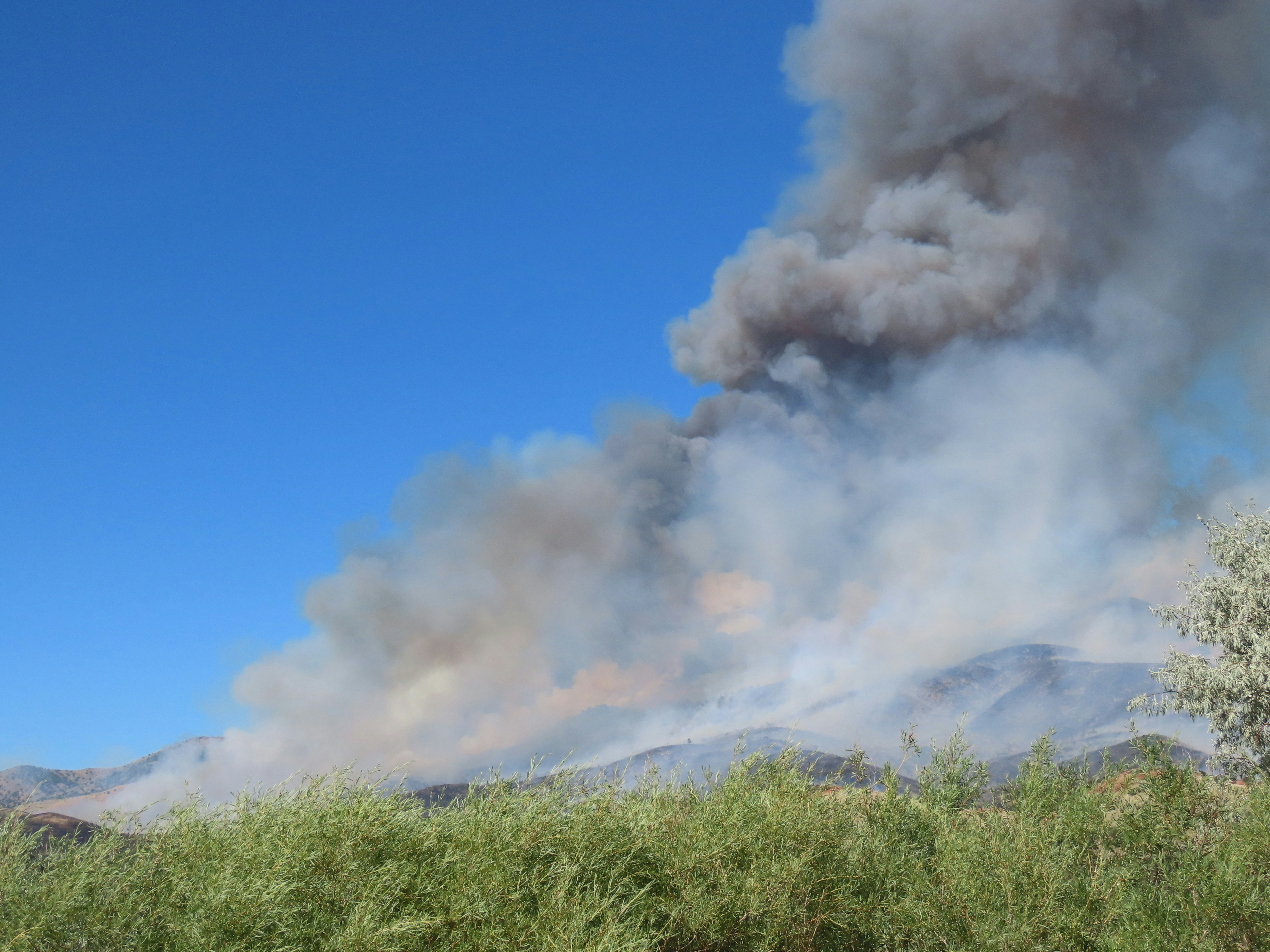Photograph of a wildfire plume rising over green hills beneath a clear blue sky.