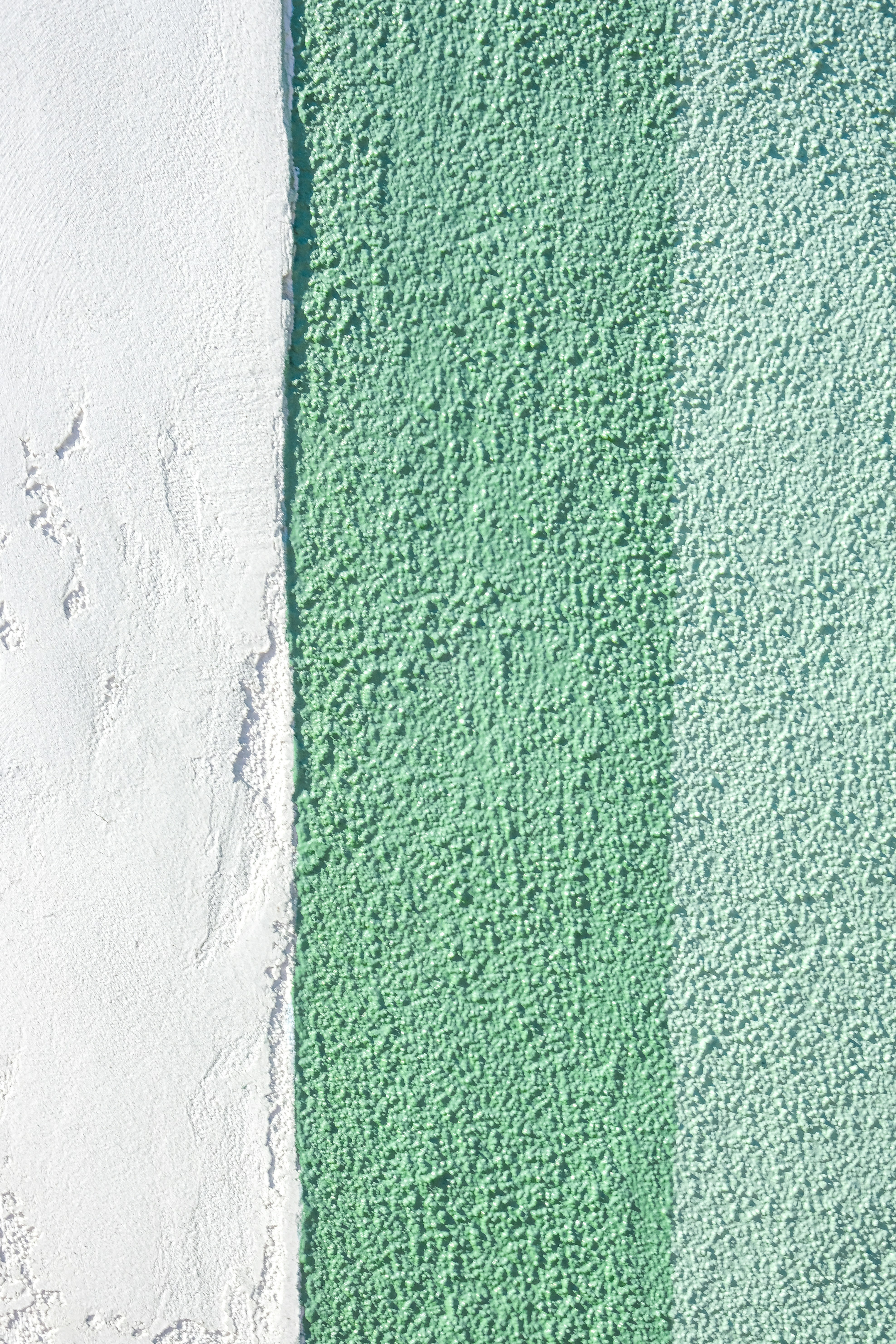 Edge of Solitude: White Sand Meets Turquoise Ripples