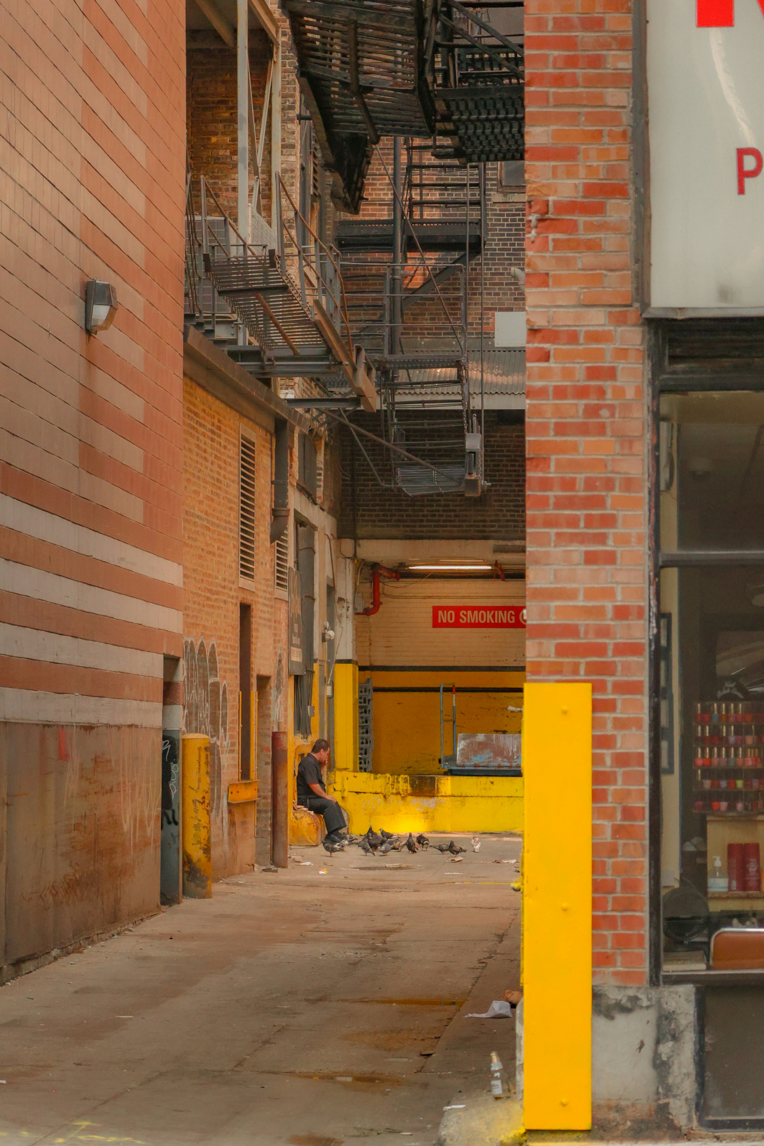 Photo by Joss Broward with Canon EOS R6