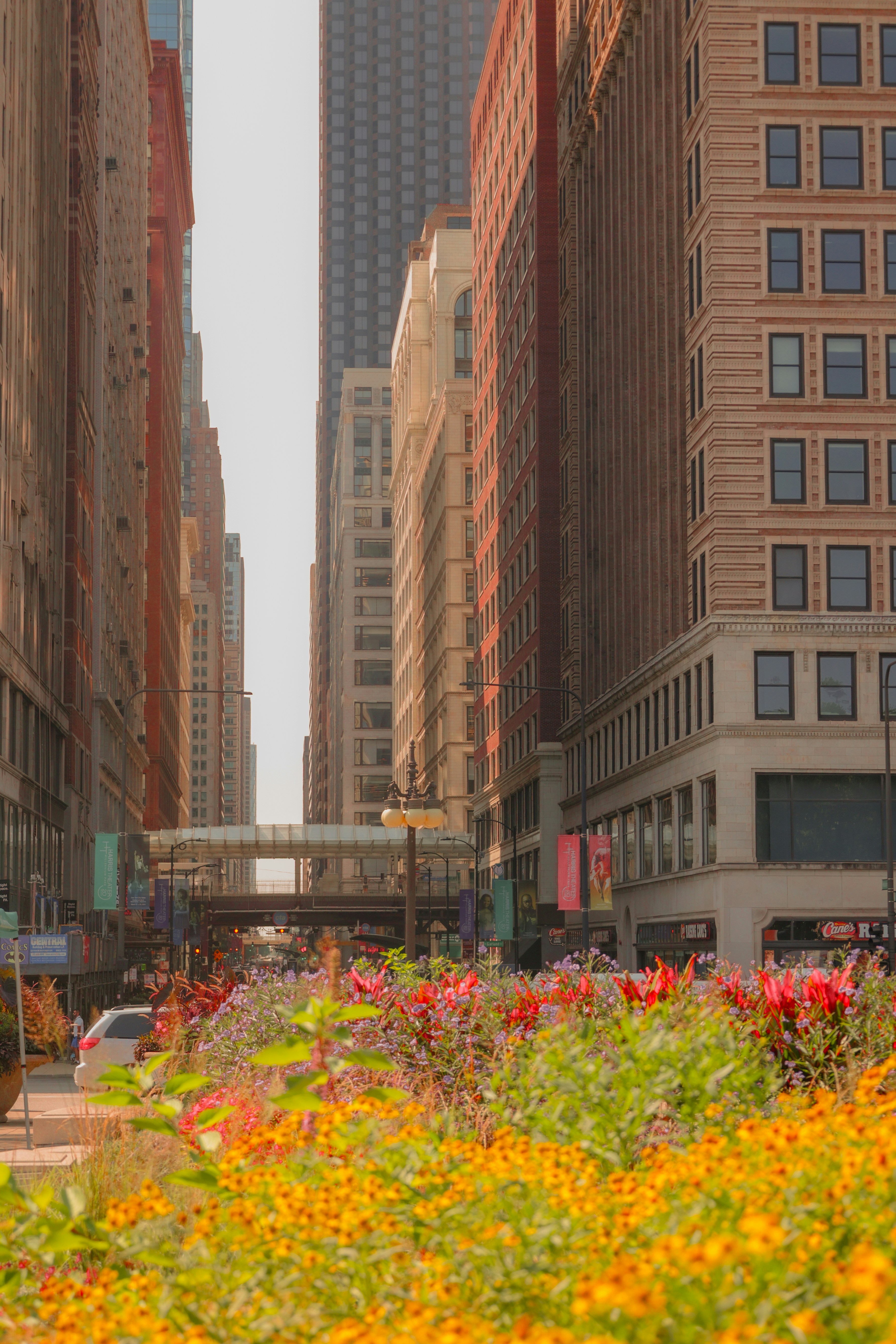 City Corridor in Bloom: Street View Framed by Skyscrapers and a Flowered Foreground