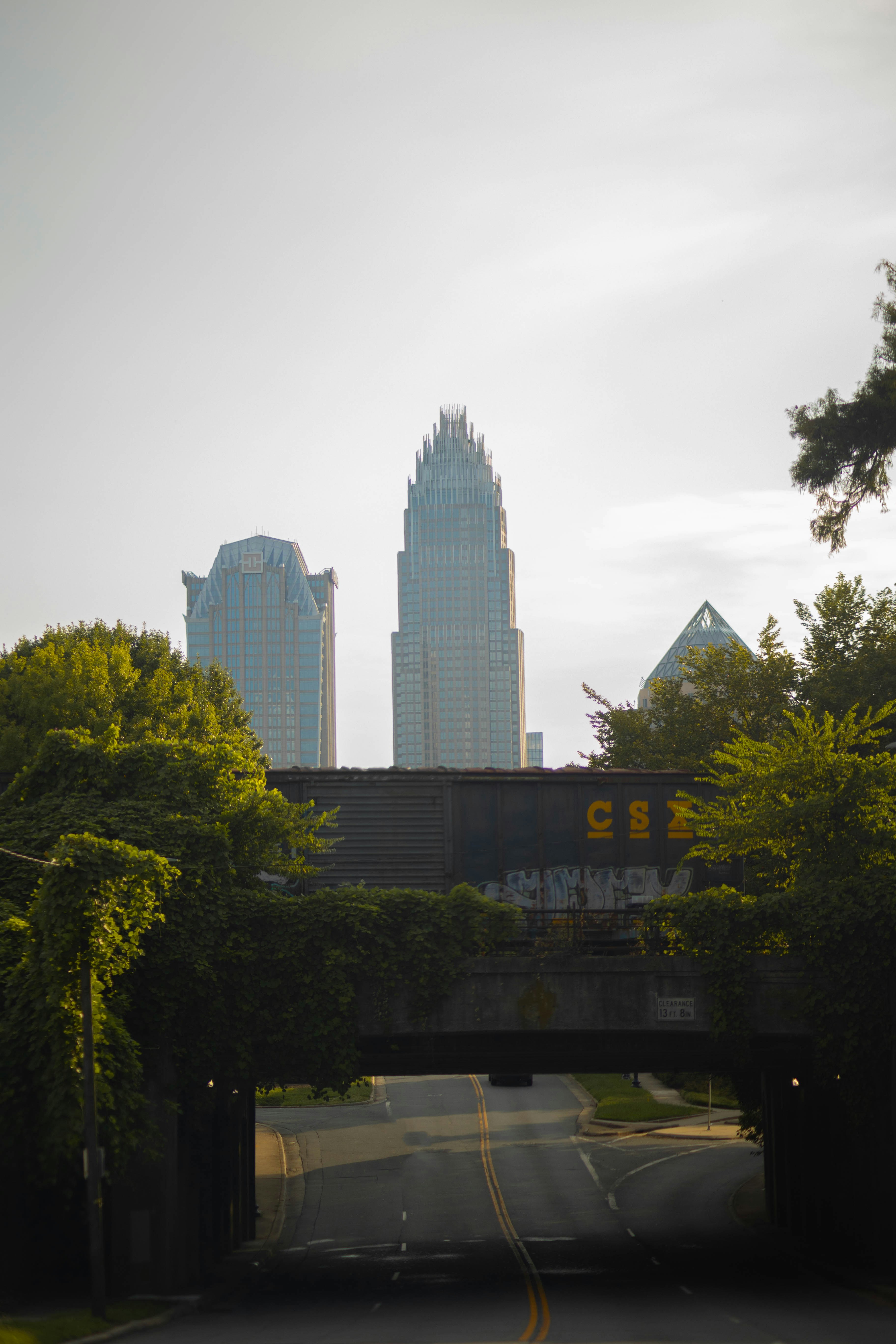 Urban Canyon: Tall Silhouettes Above a Tree--lined Underpass