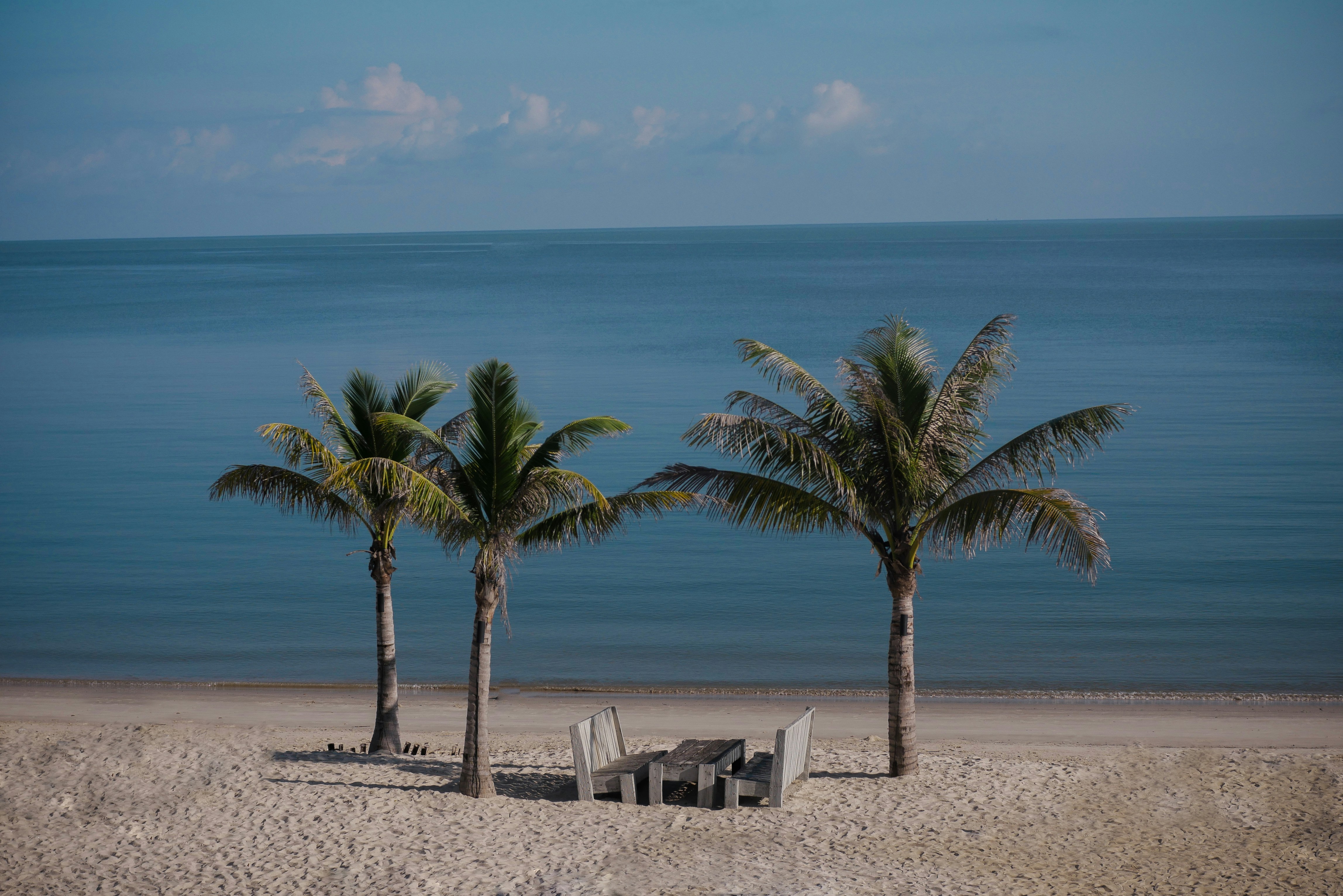 Tranquil Trio on the Shoreline