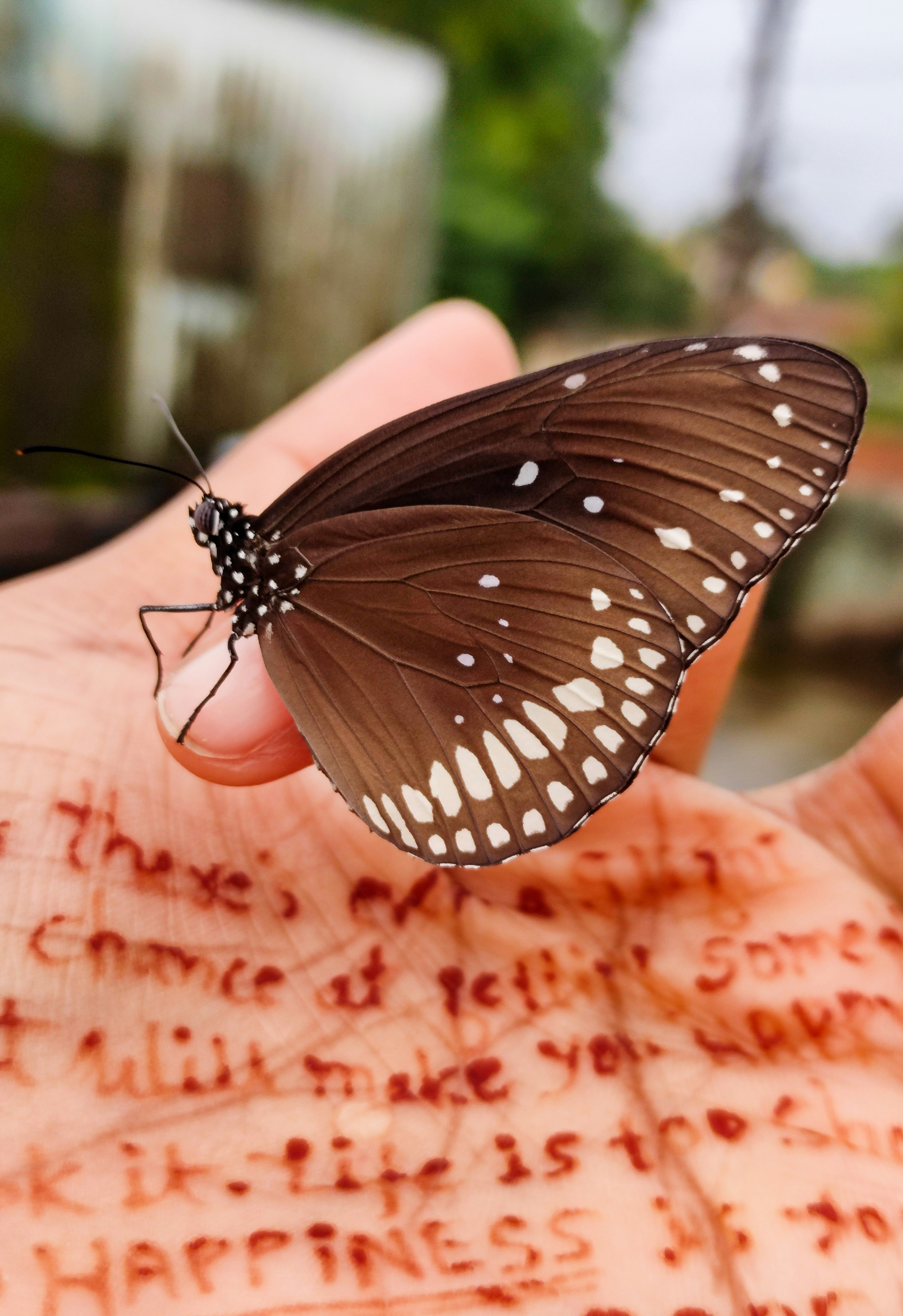 Photo by Shyamli Kashyap with Redmi Note 10 Pro