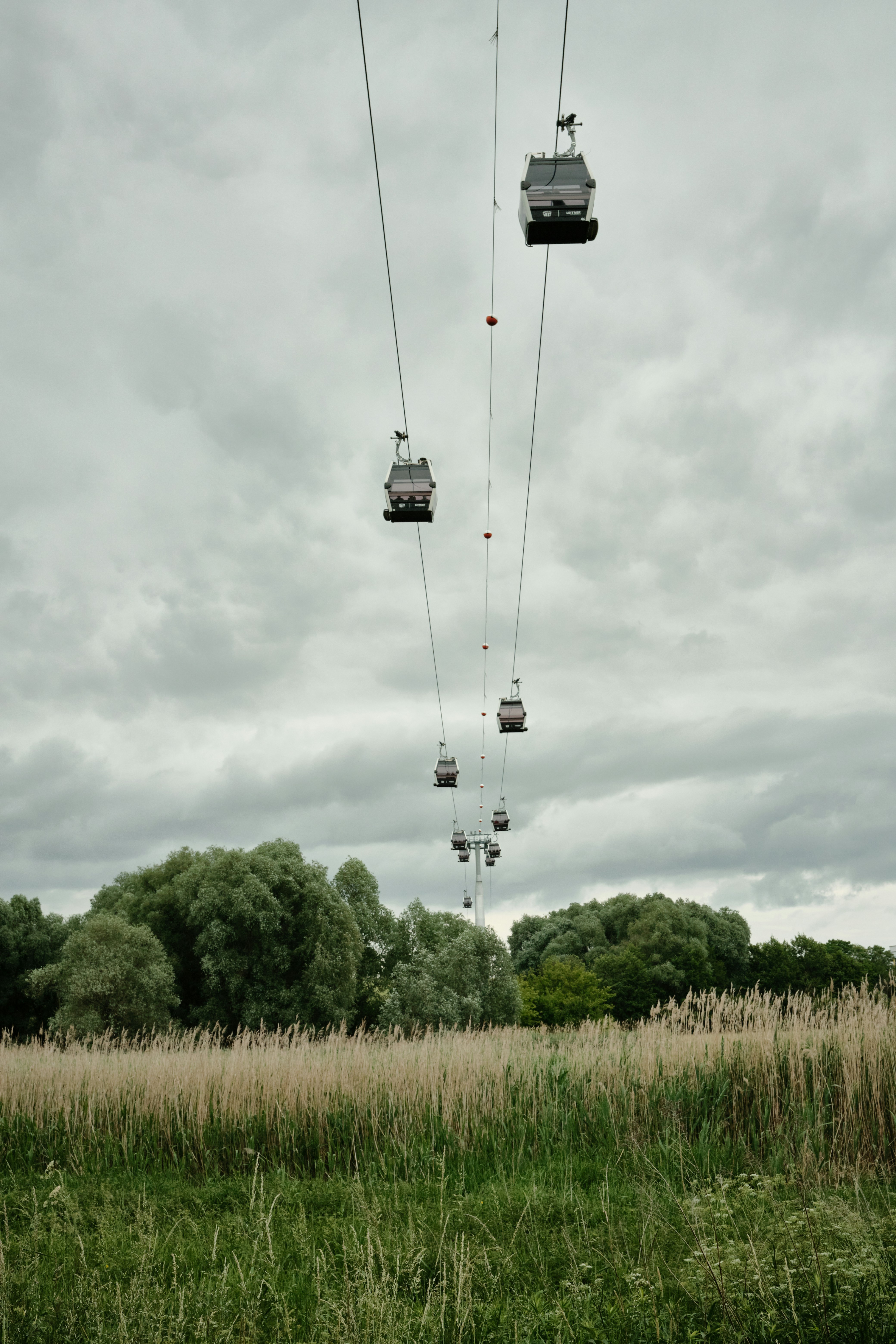 Overcast Gondola Line: Cables Cutting Through a Quiet Meadow