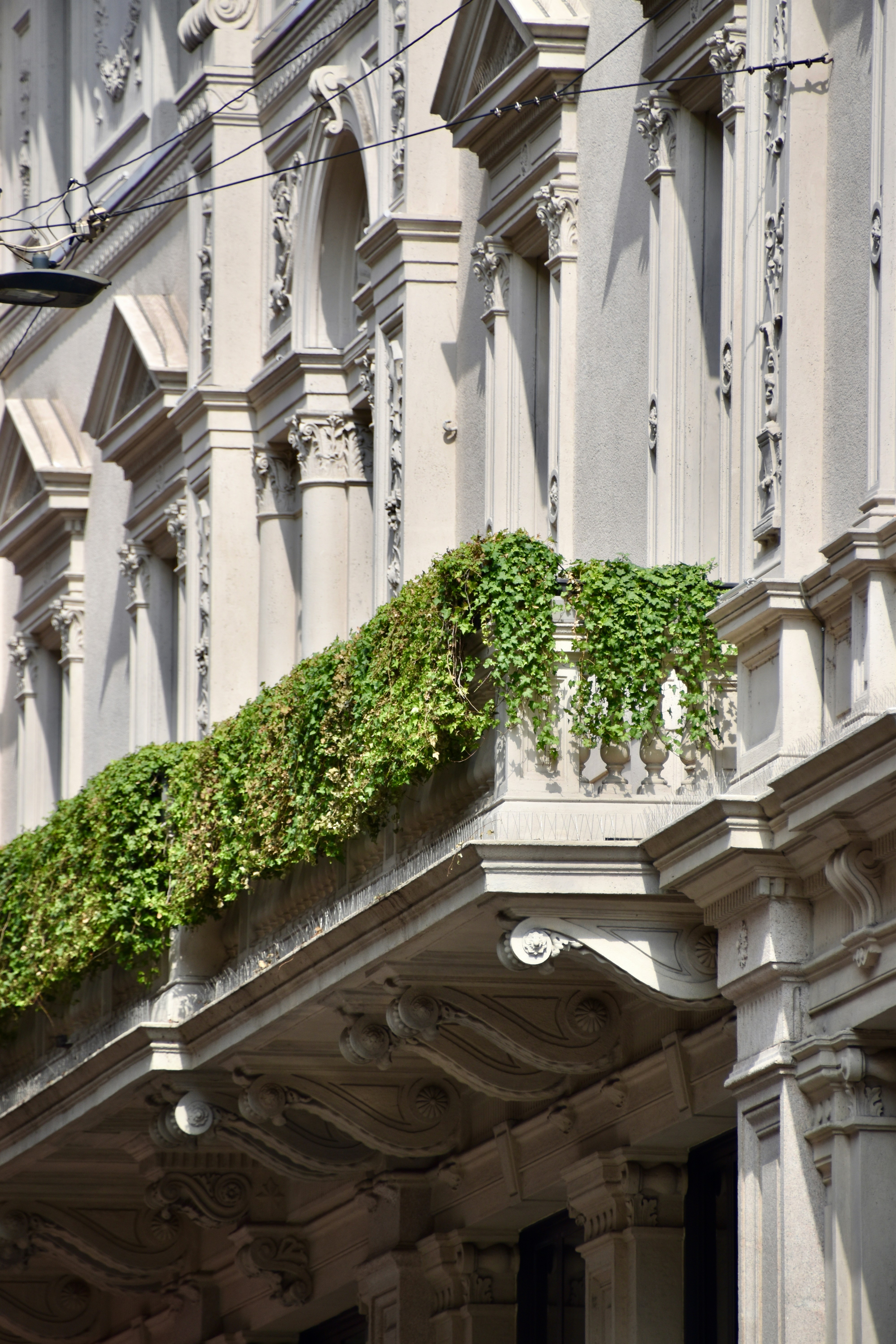 Ivy-Framed Balcony Above Carved Facade