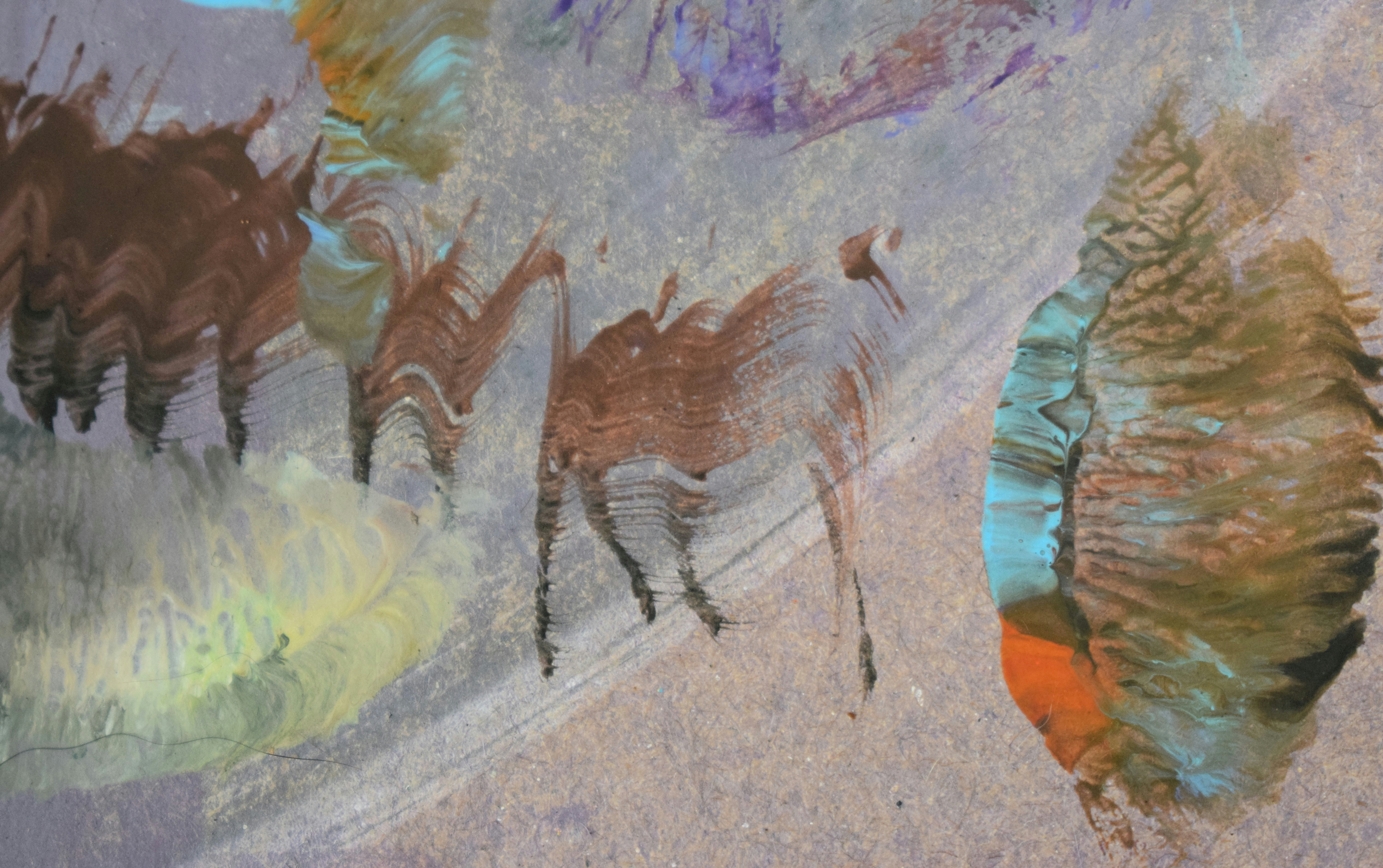 Walking with the camels