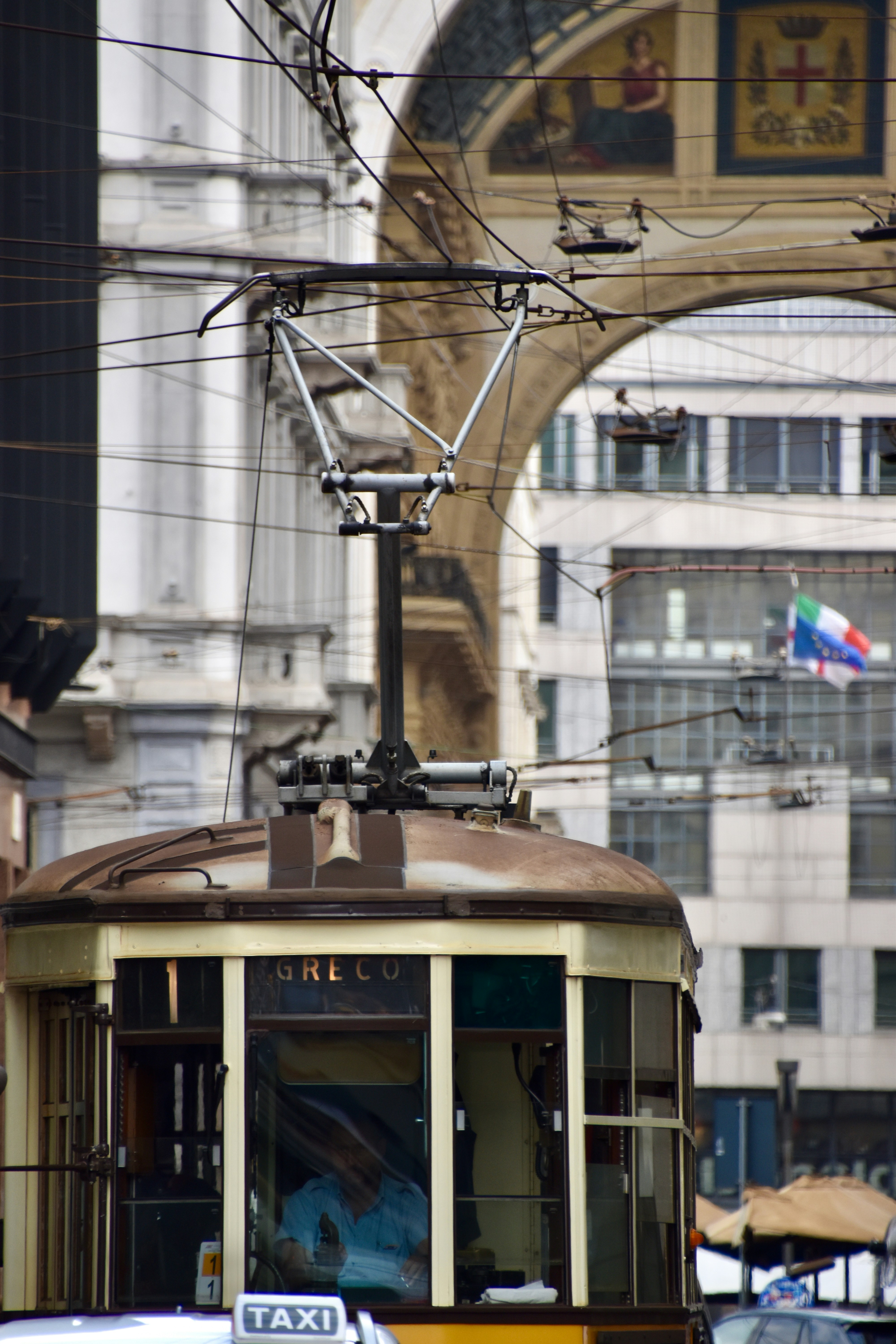 Photo by Samuel Isaacs with Nikon D5600