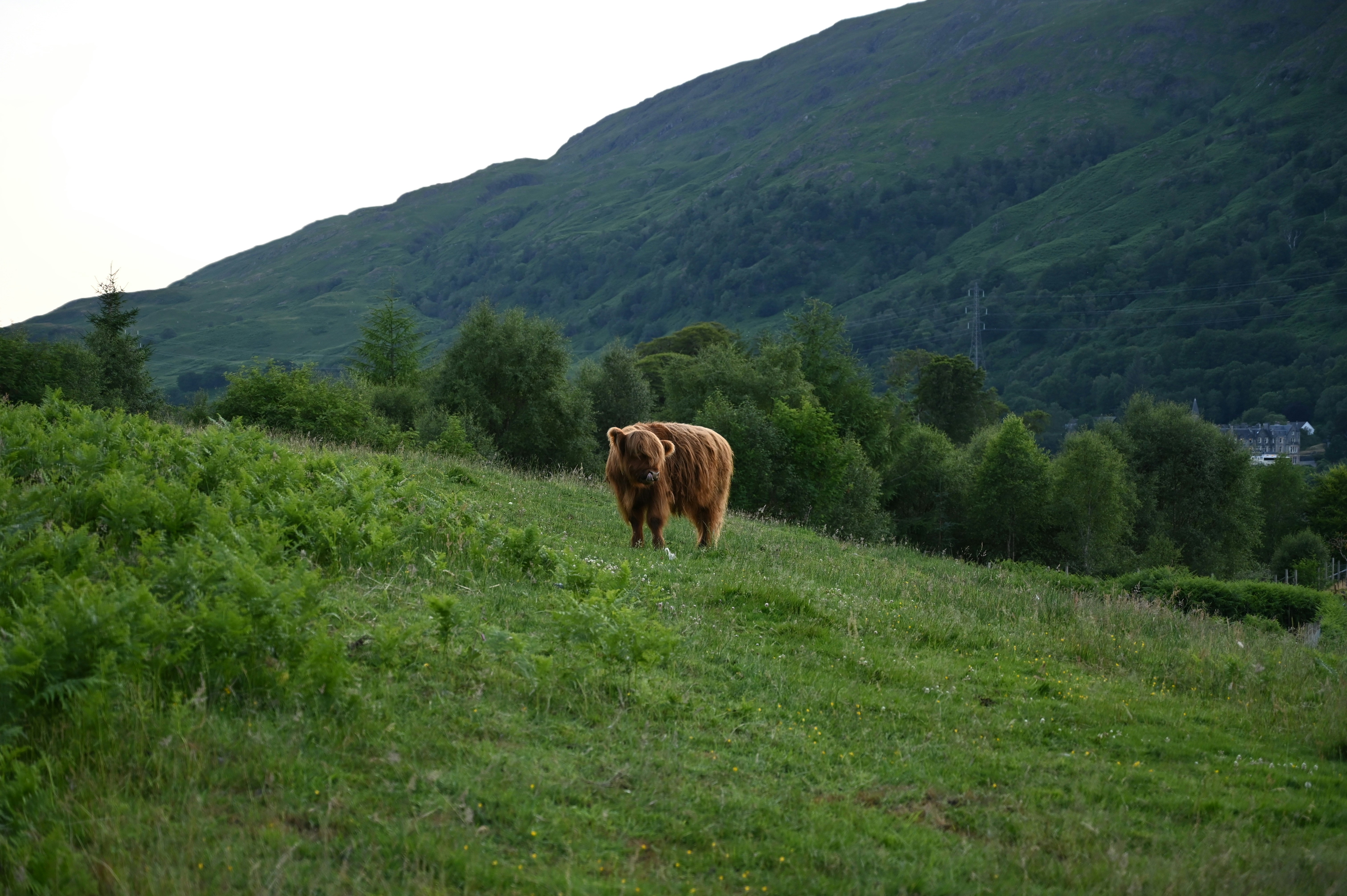 Photo by Tomasz Kardasz with Nikon Z6 II