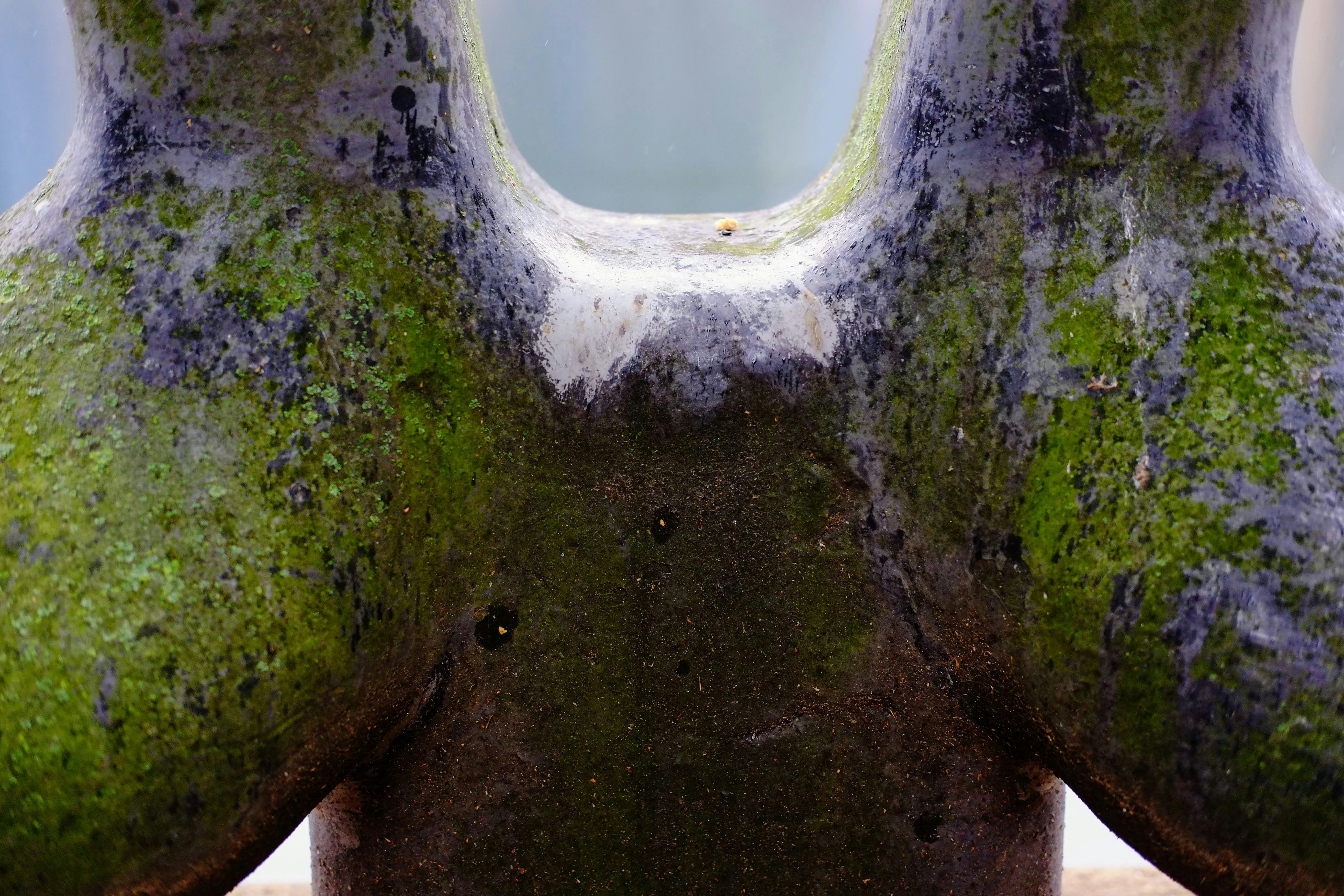 Moss-Cloaked Bollard: A Quiet Gateway Between Rust and Sea