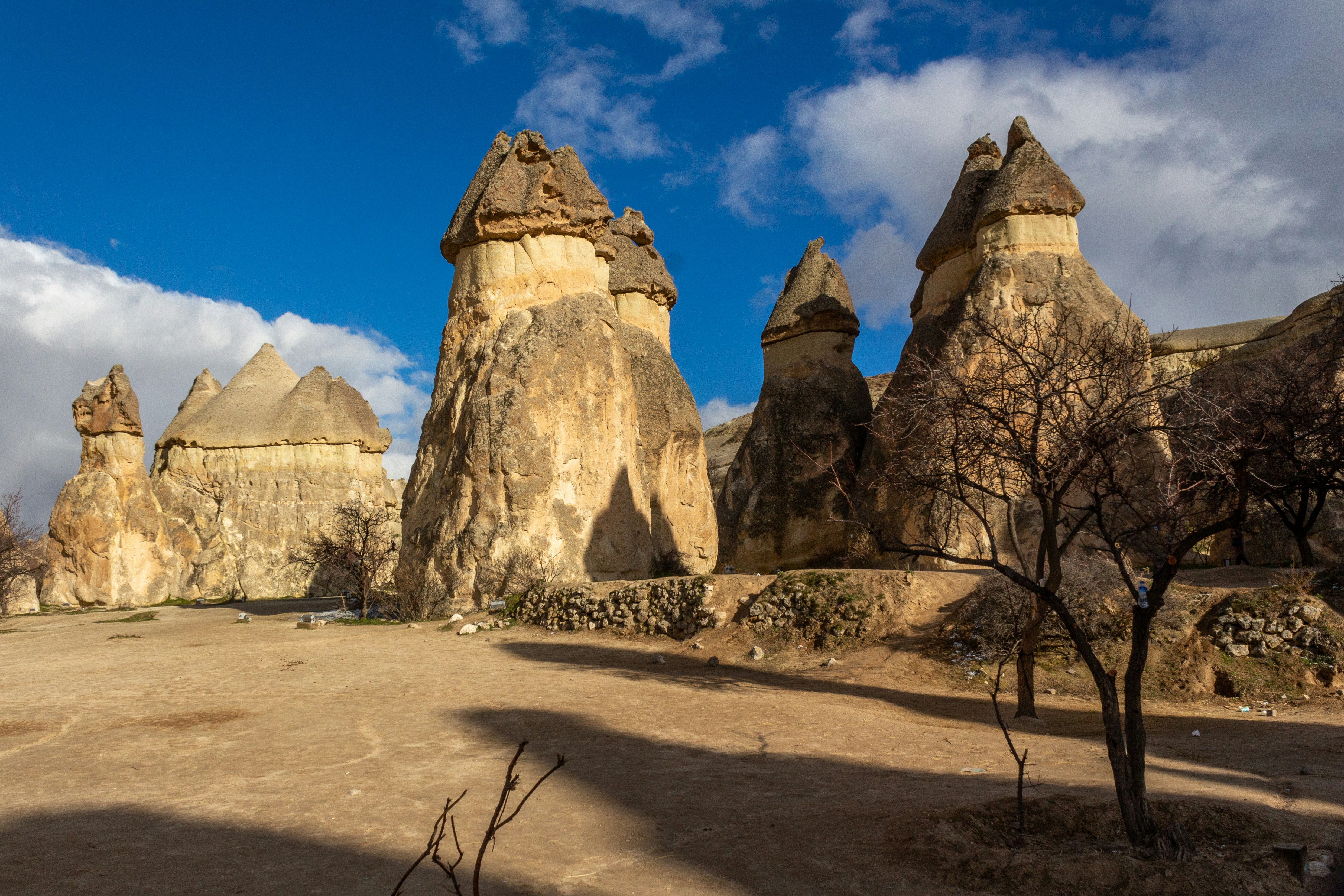 Photo by Julia Prokopenko with Canon EOS 650D