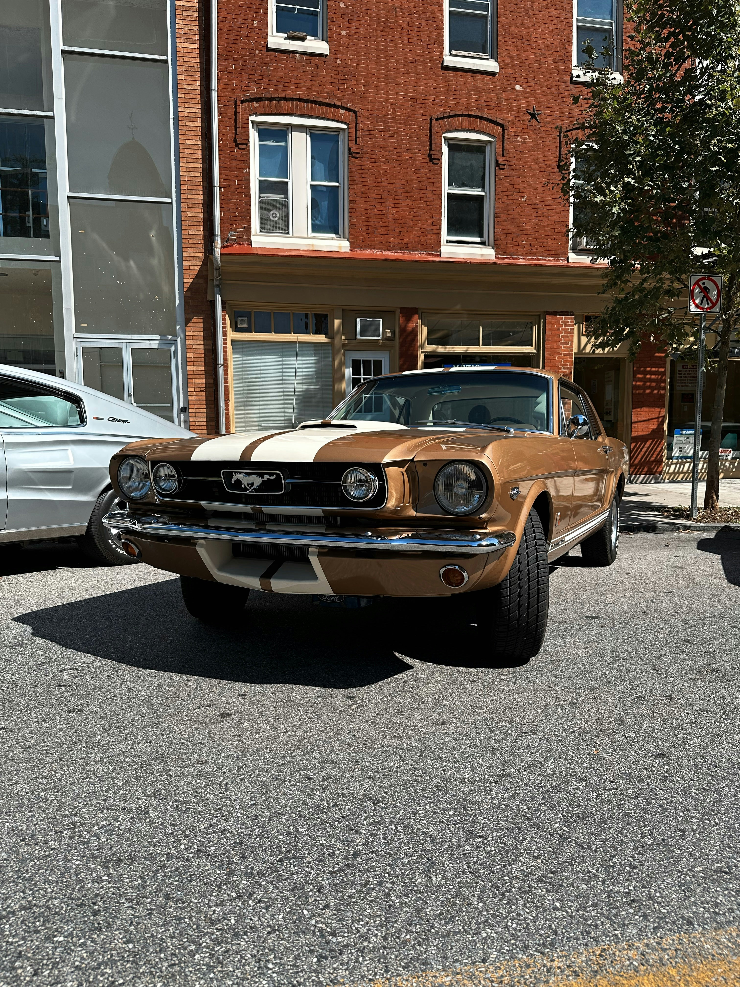 Golden Classic: The Timeless Mustang