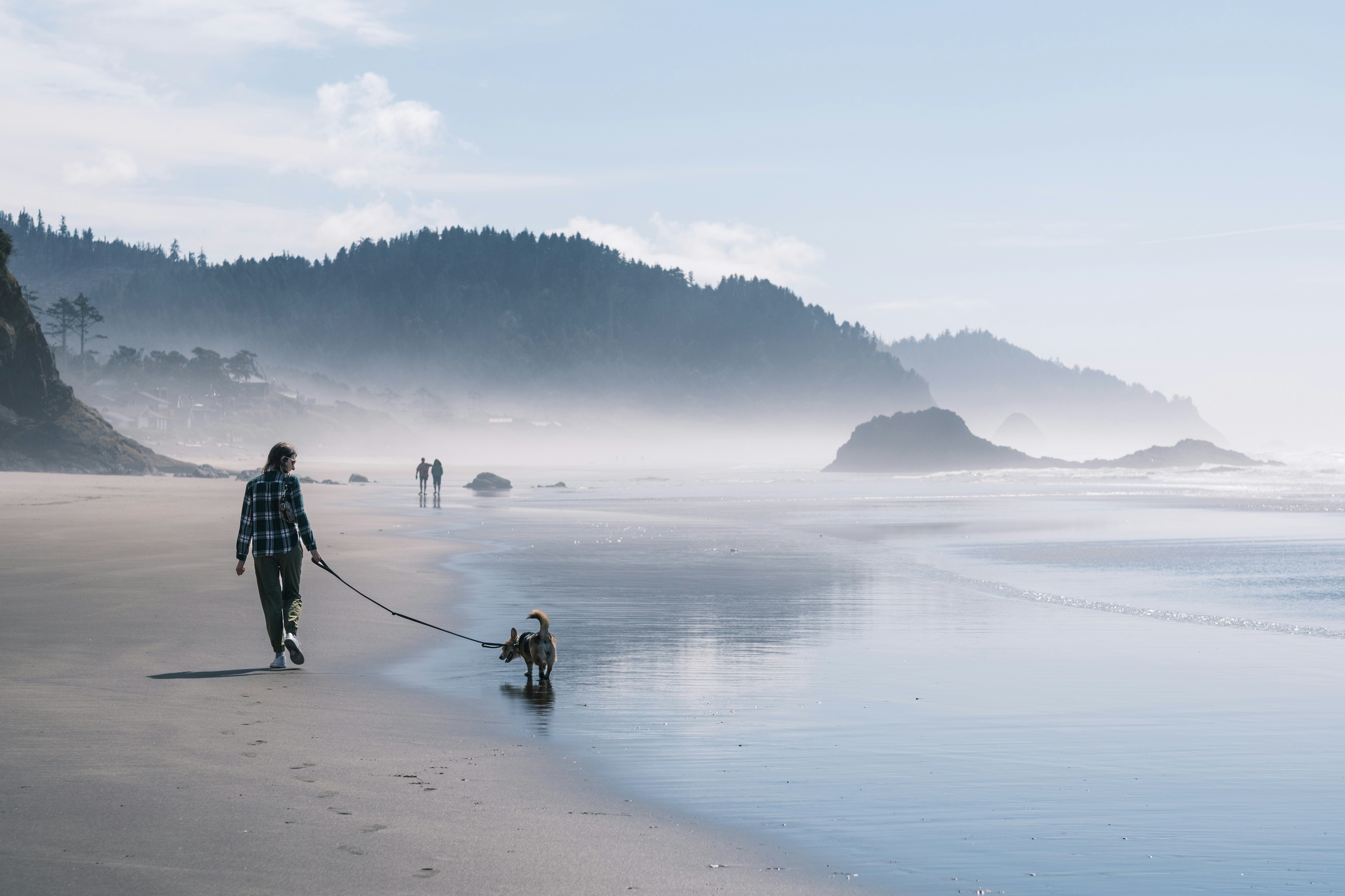 Mist-Washed Dawn: A Lone Walker and Dog on the Quiet Shore