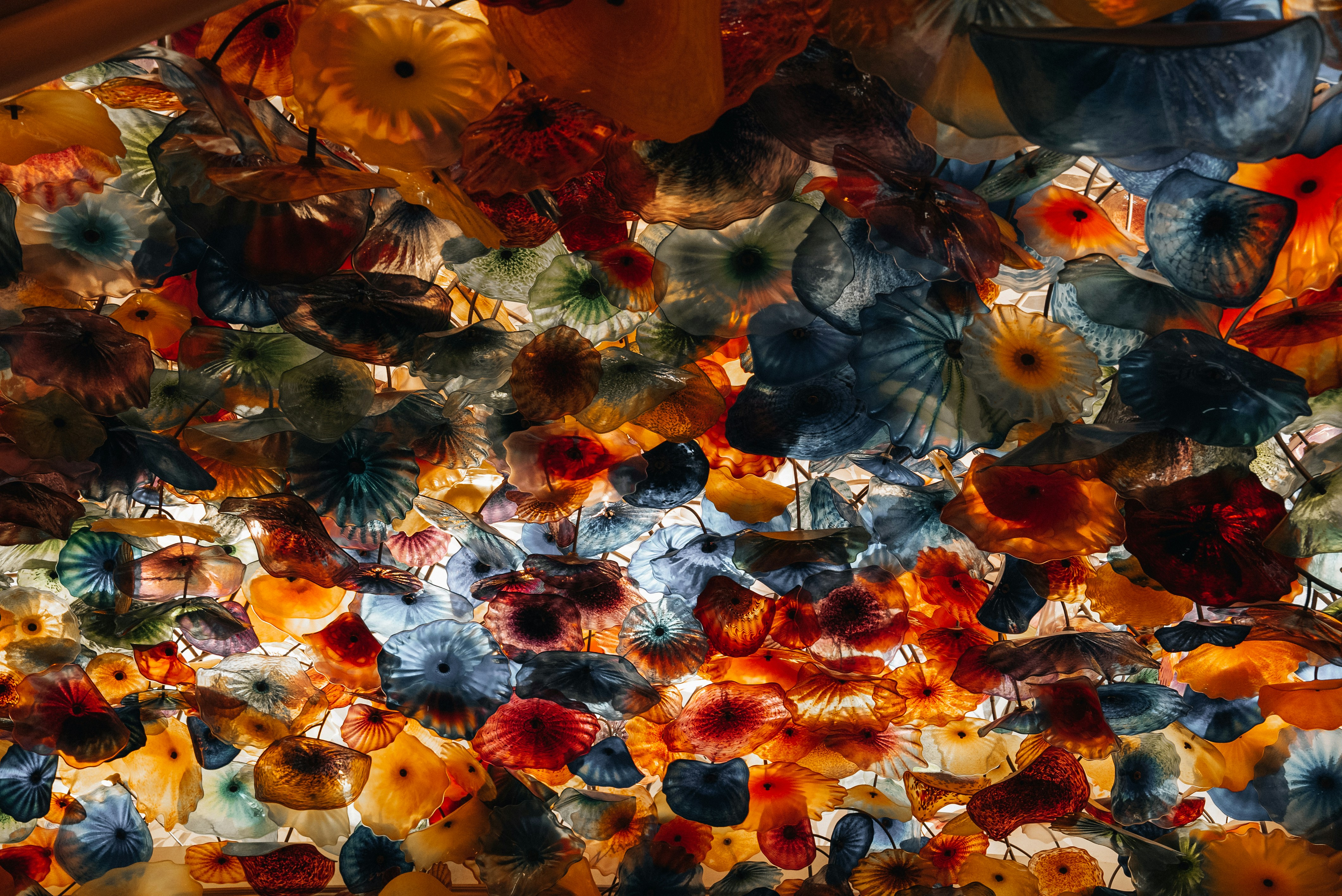 Overhead Mosaic: A Canopy of Colorful Umbrellas
