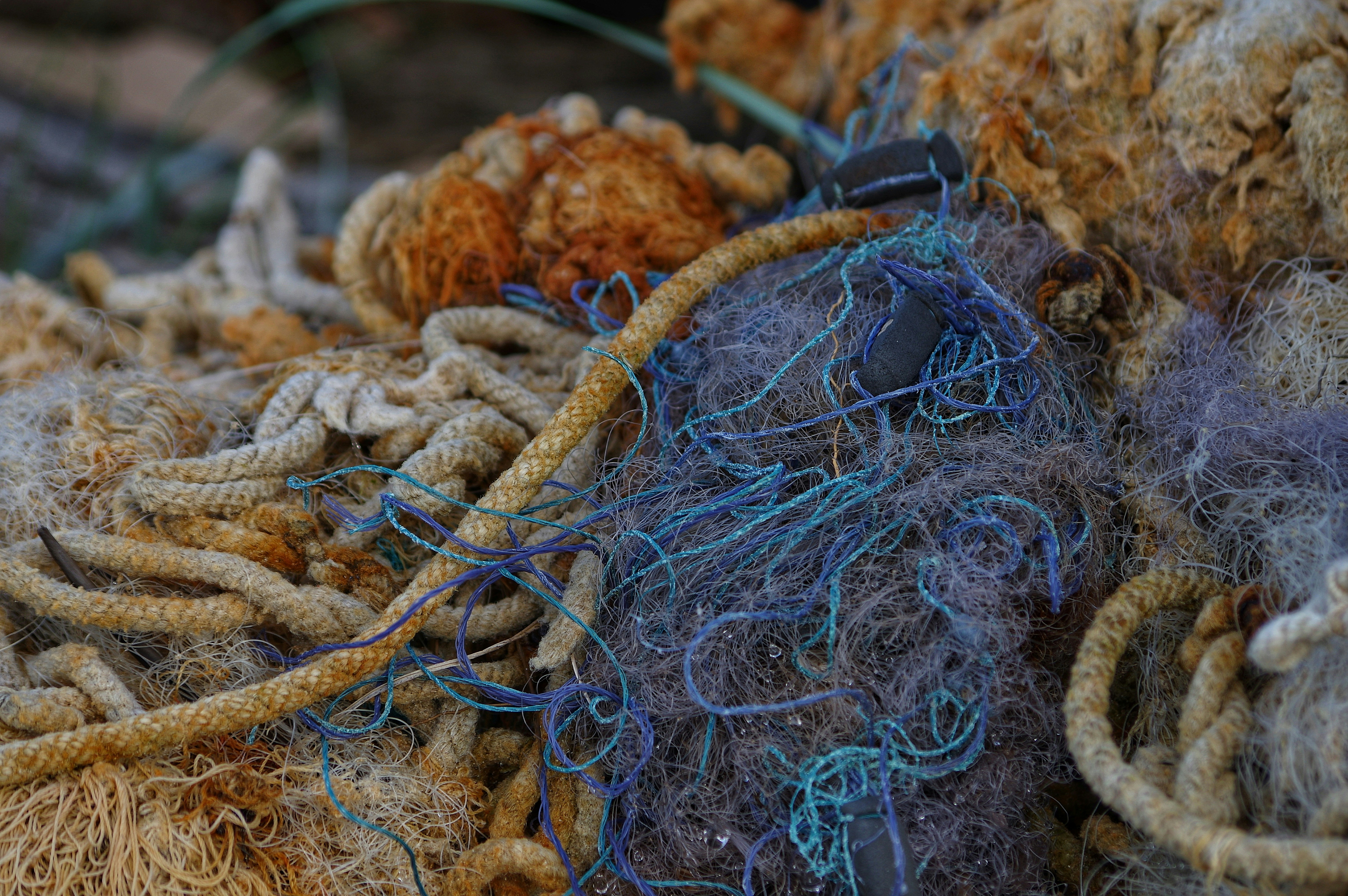Blue Tangled Threads: A Close-Up of Weathered Harbor Ropes