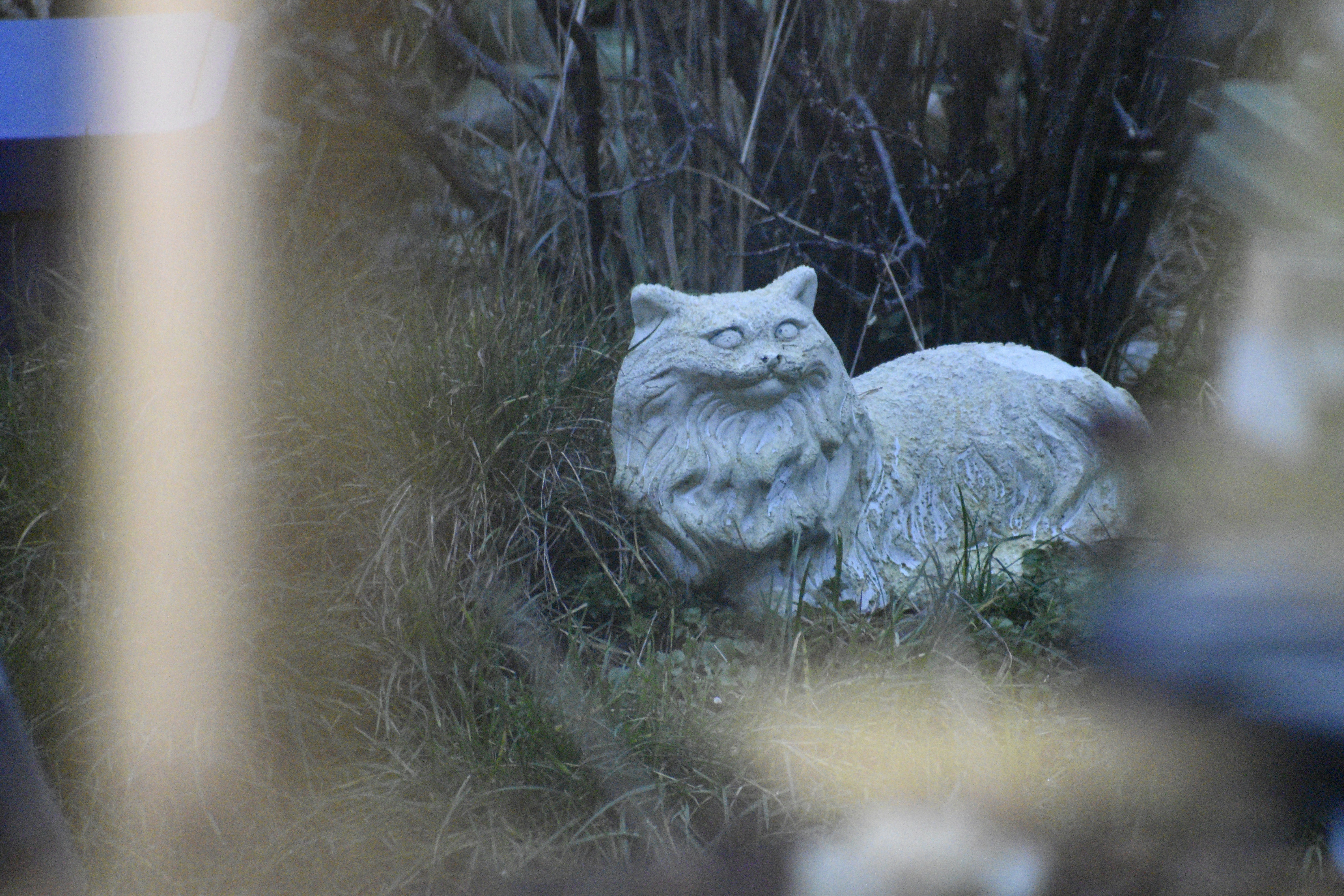 Stone Cat Guardian Amid Quiet Garden Grasses