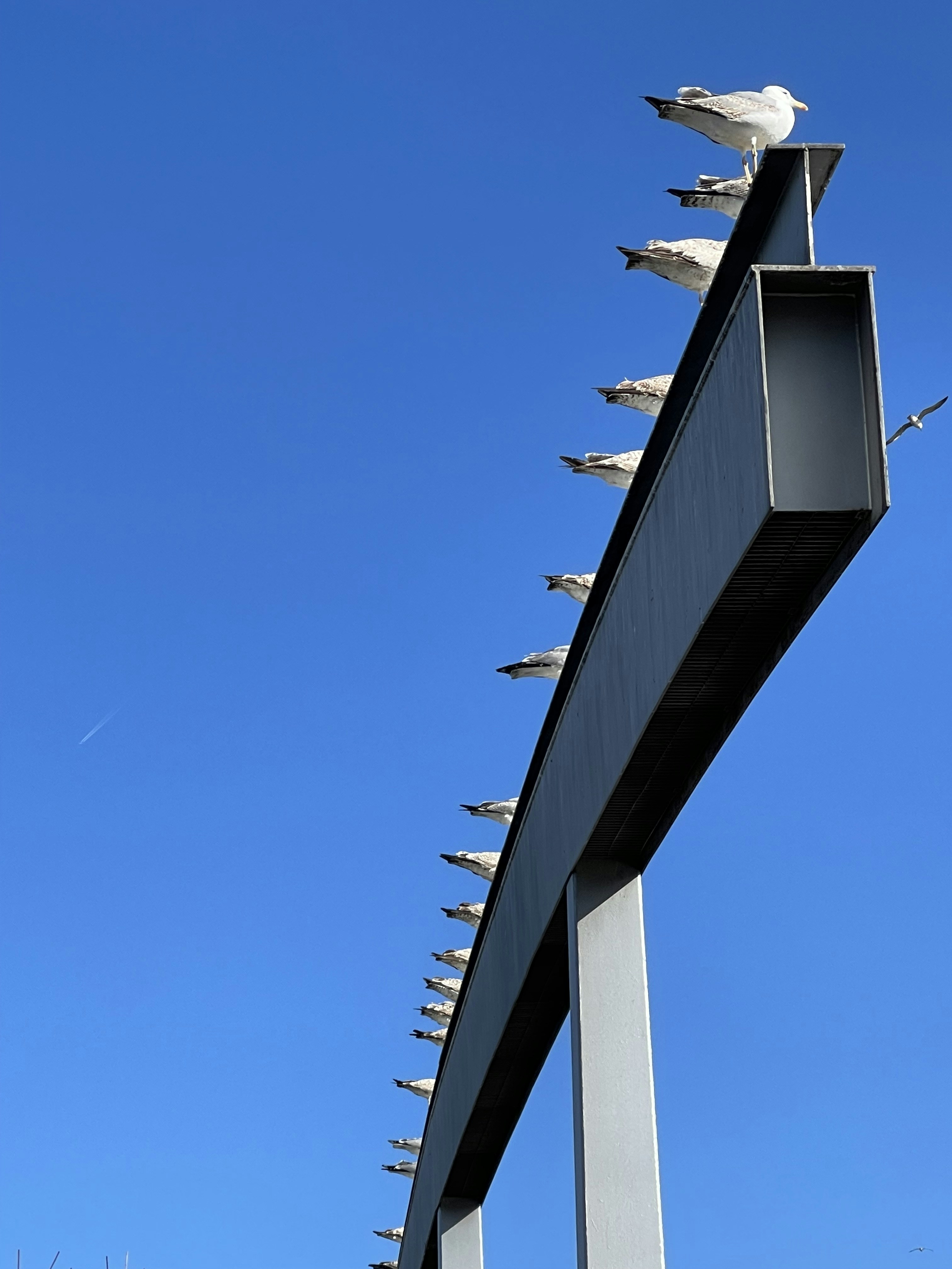 Photo by Egor Tomilin with Apple iPhone 12 Pro Max