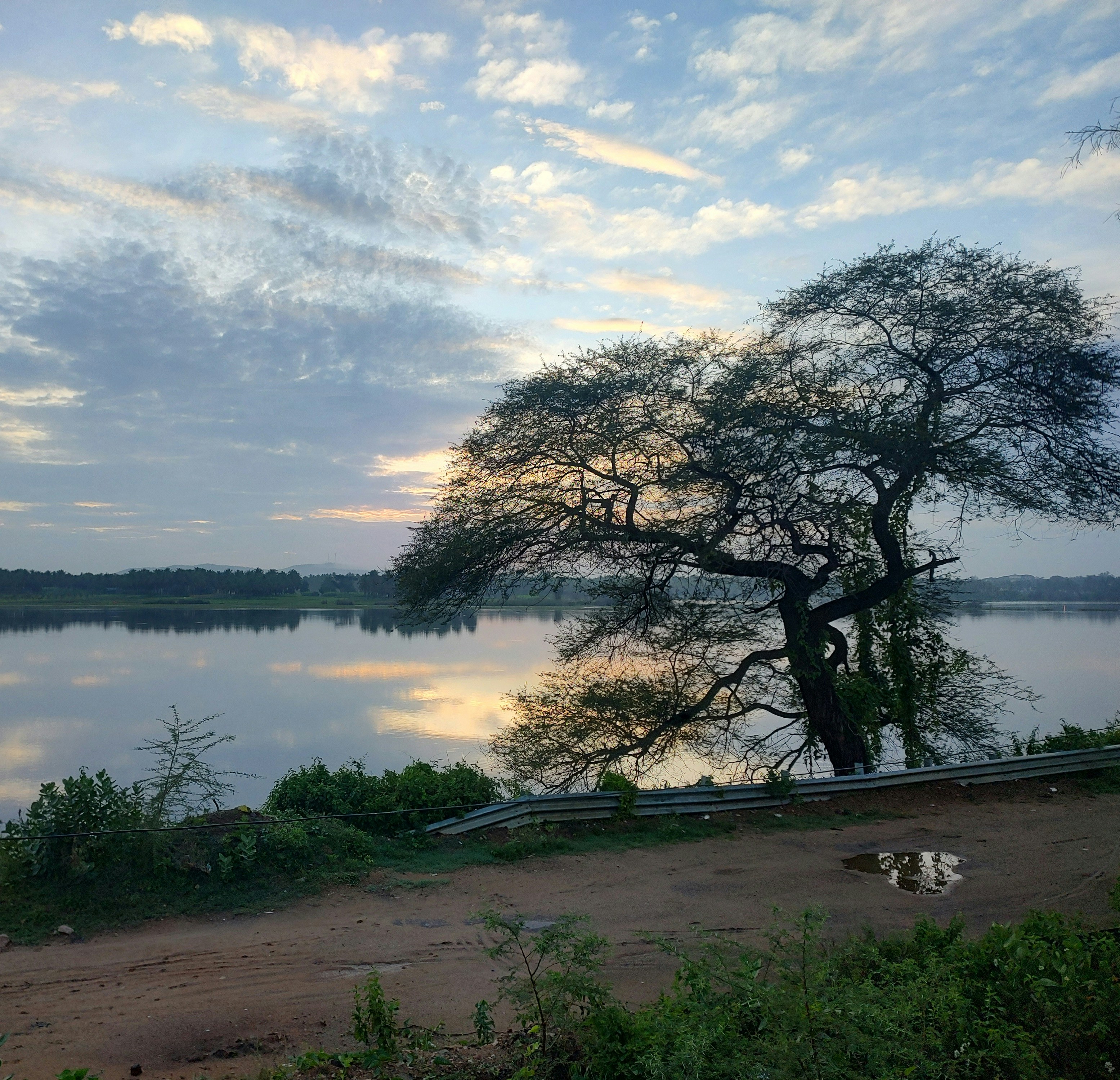 Photo by V with Motorola Moto G60