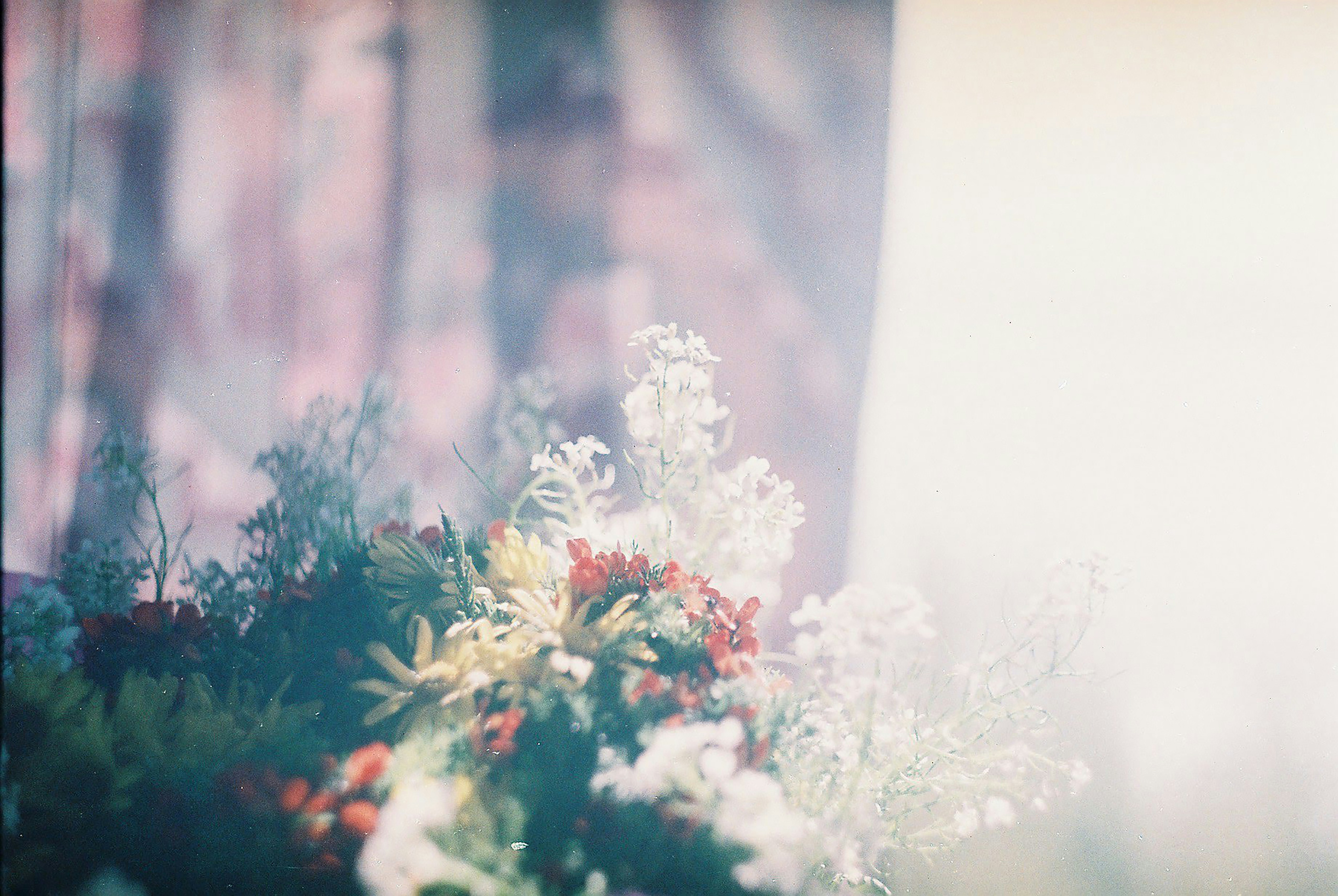 Photo by Tamta Gotsadze with Fujifilm SLP800