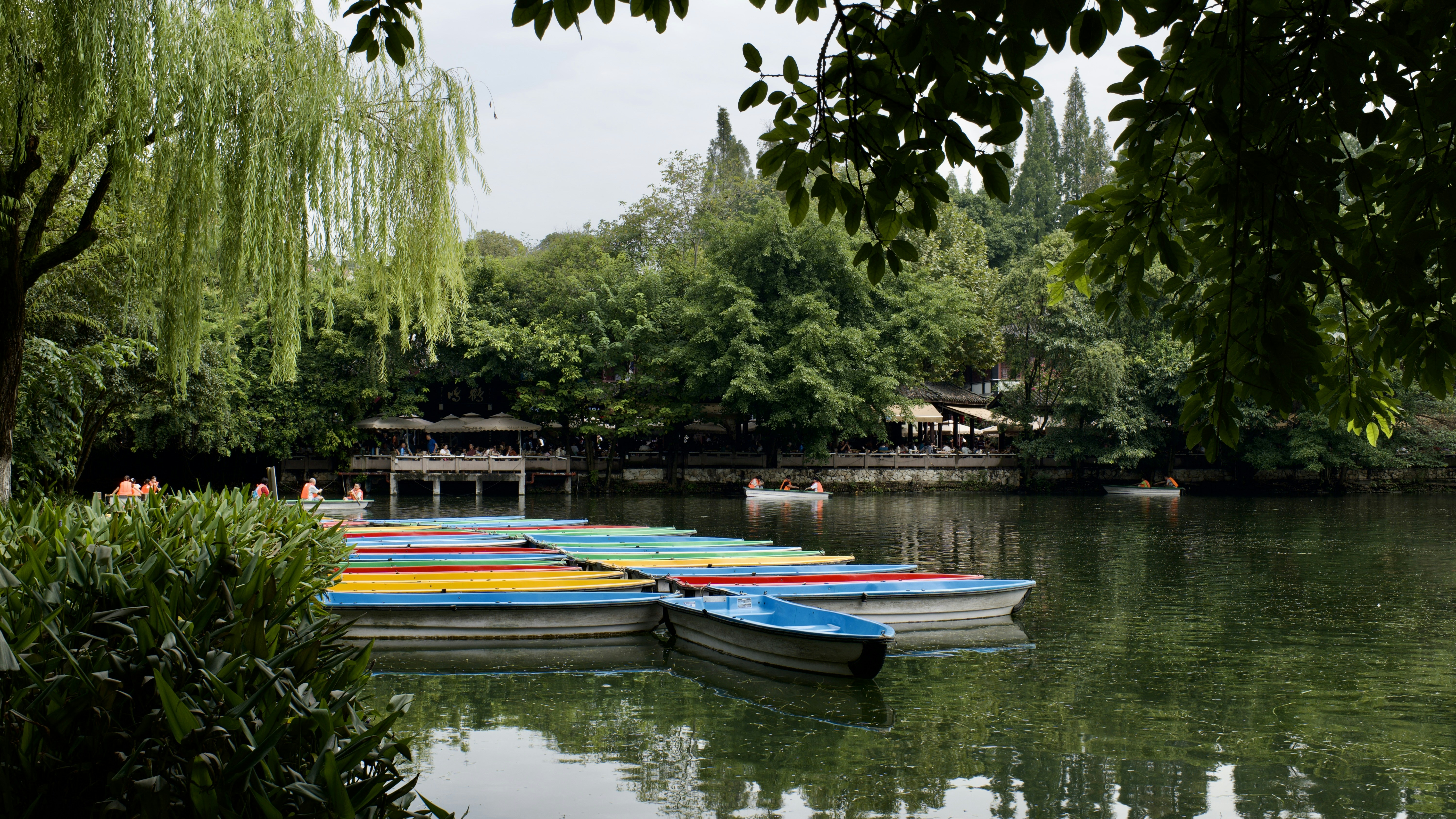 Pastel Rowboats Gathered Along a Serene Park Pond