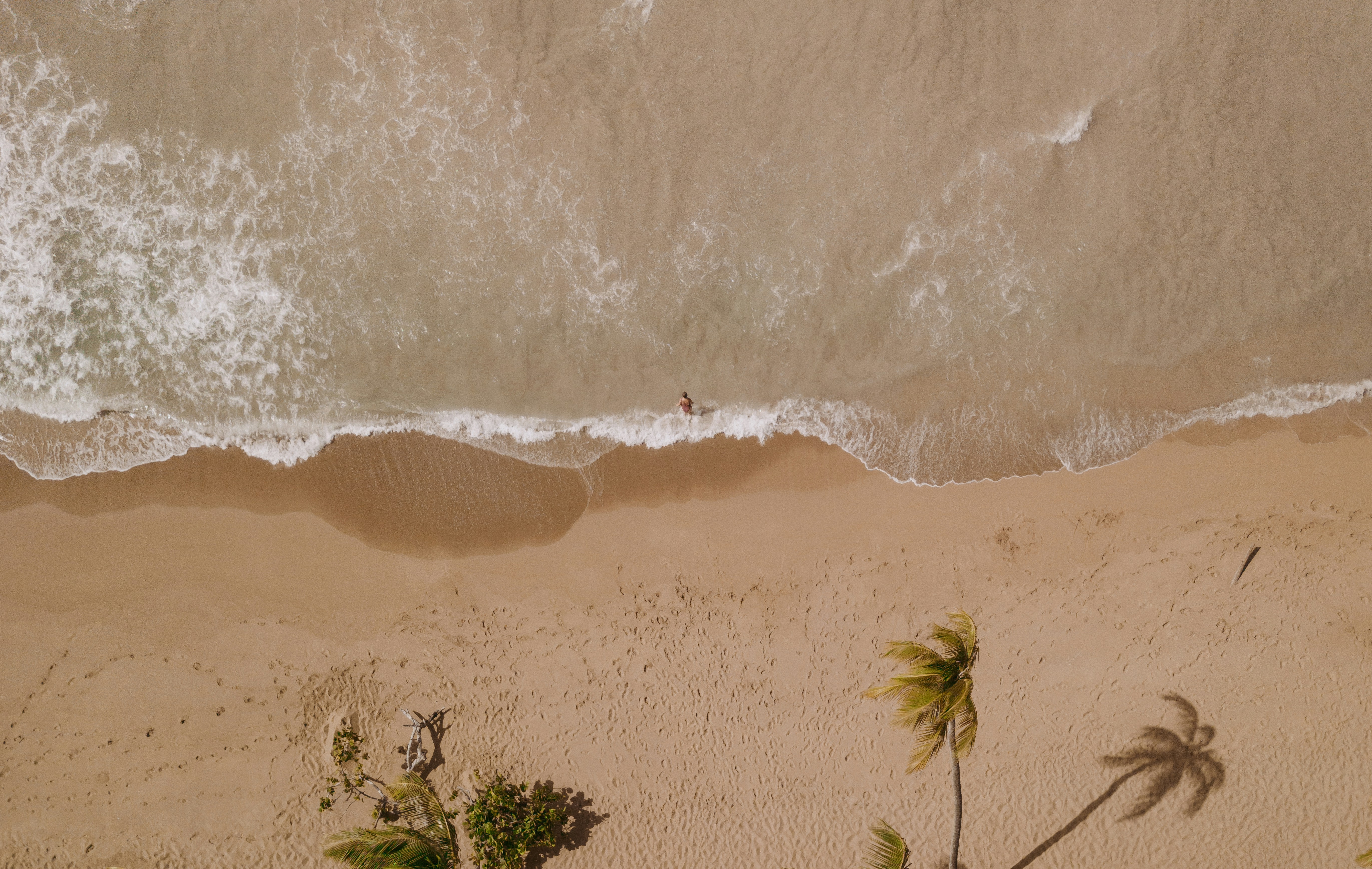 A drone photograph of a sandy beach with breaking waves and a lone figure near the waterline. Palm trees frame the lower edge, adding foreground depth.
