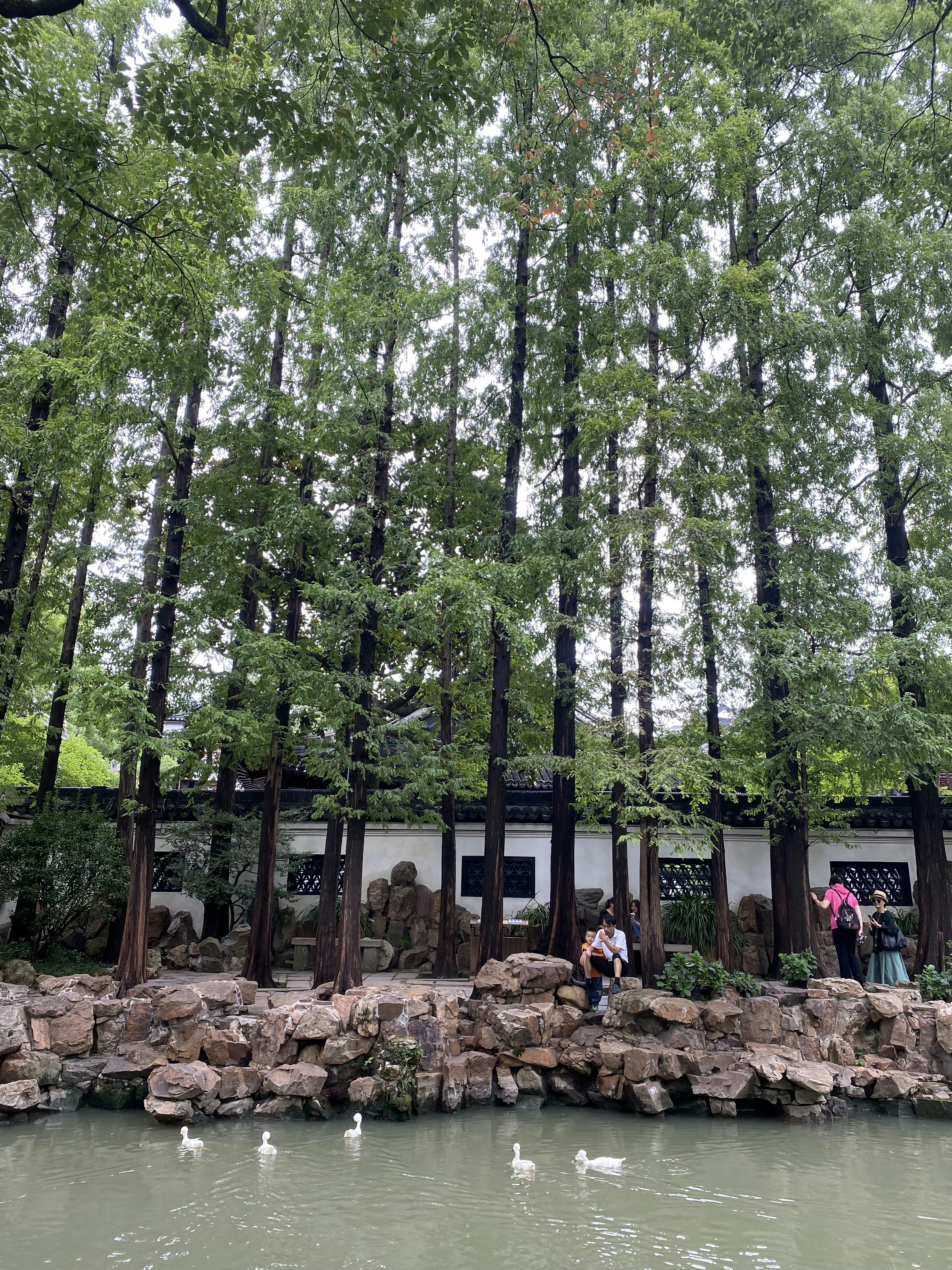 Pondside Pause Under Green Canopies: Visitors on a Rock Terrace by Calm Water
