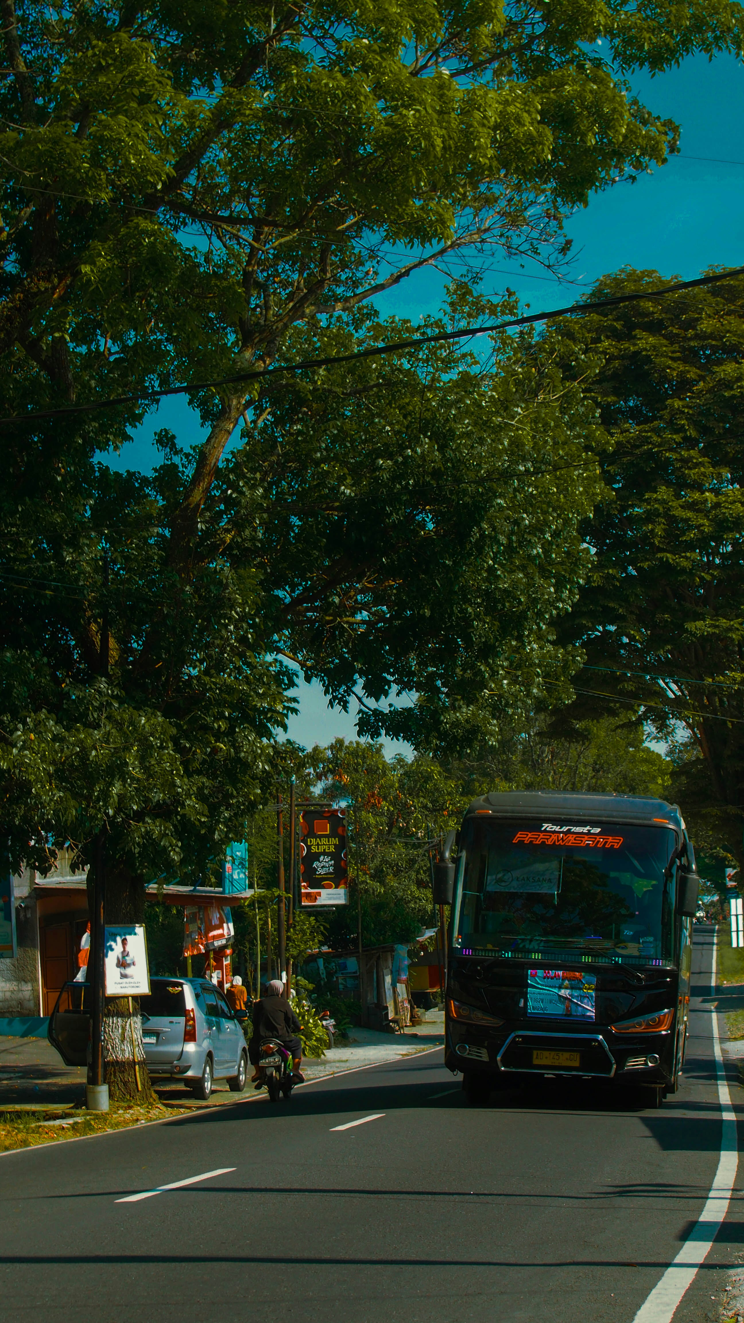 A city bus dominates a sunlit street, framed by towering trees and crossing wires. A scooter and car share the lane as pedestrians bustle along the sidewalk.