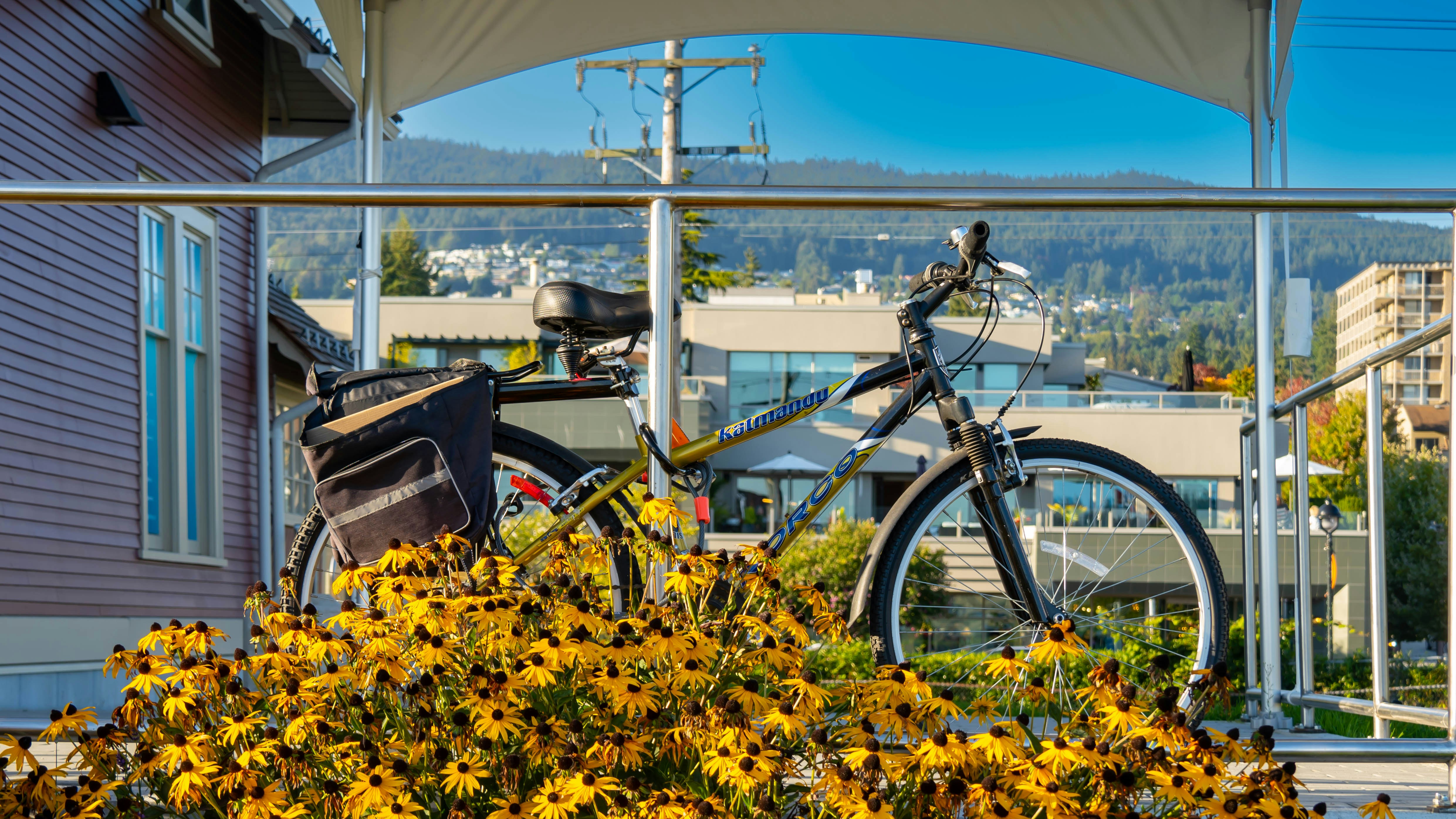 Sunlit Urban Cargo Bike Framed by Golden Blooms
