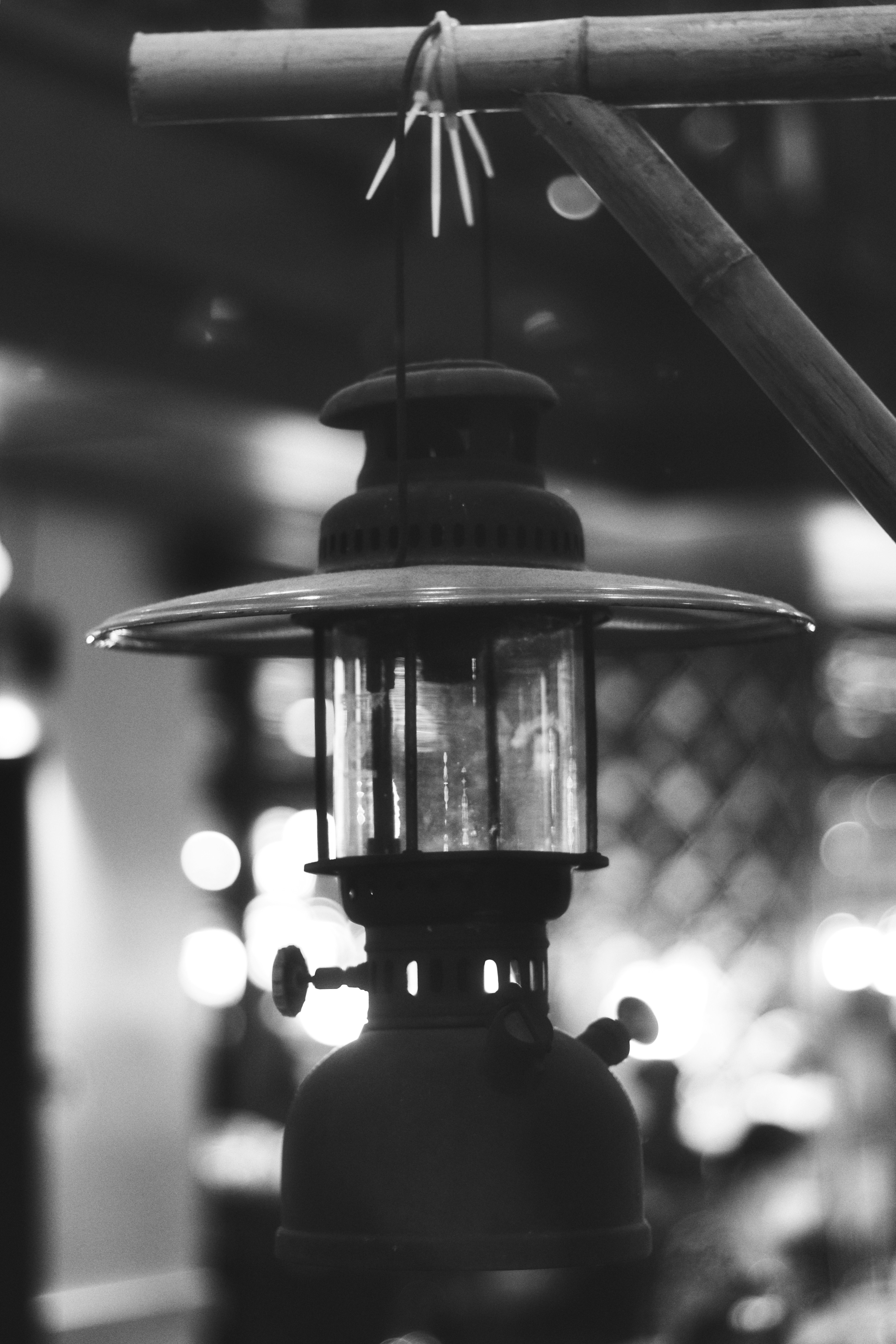 Lantern in Focus: Quiet Moment Among Soft Orbs