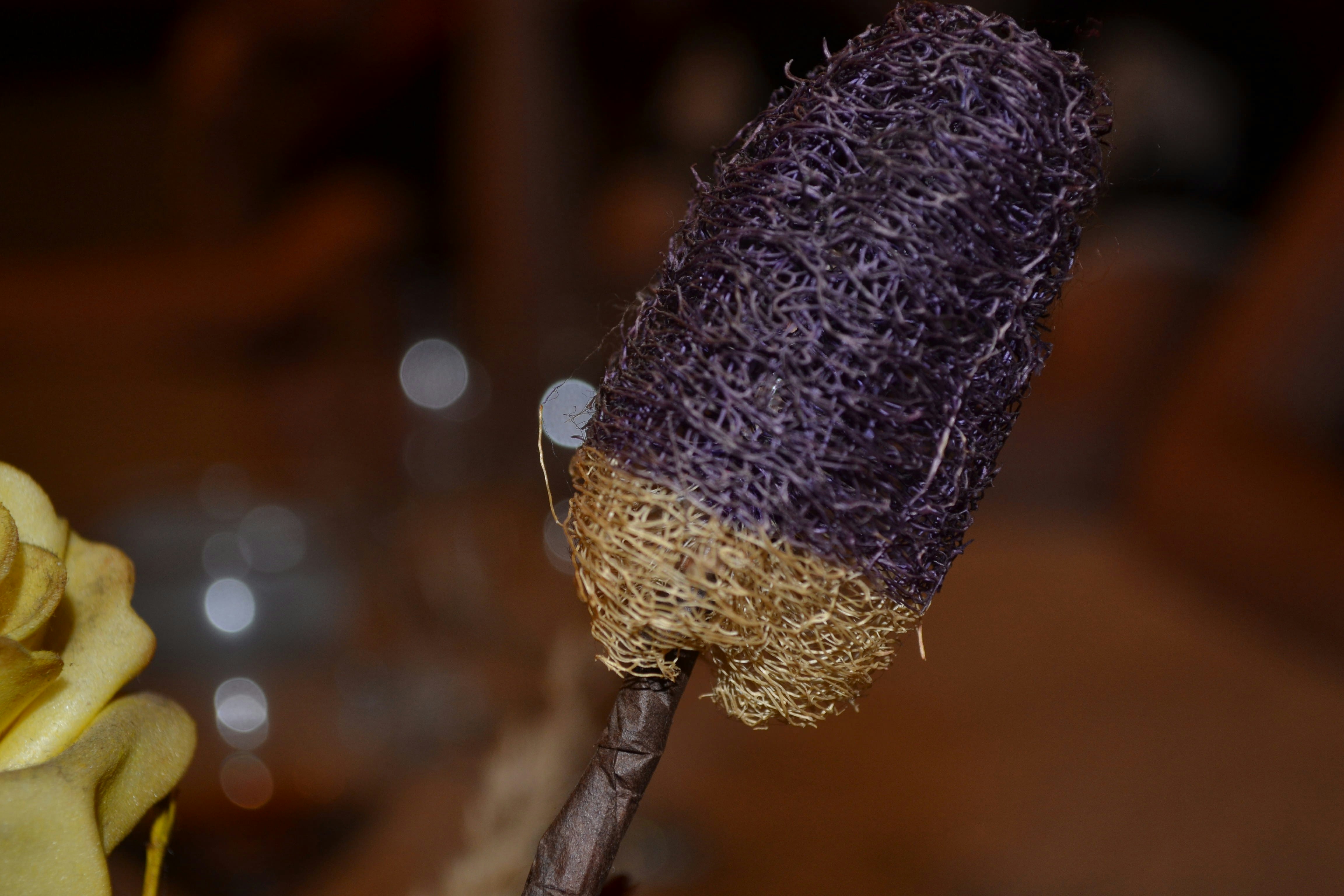 Close-up of a dried cattail with a rich texture in a dimly lit setting.