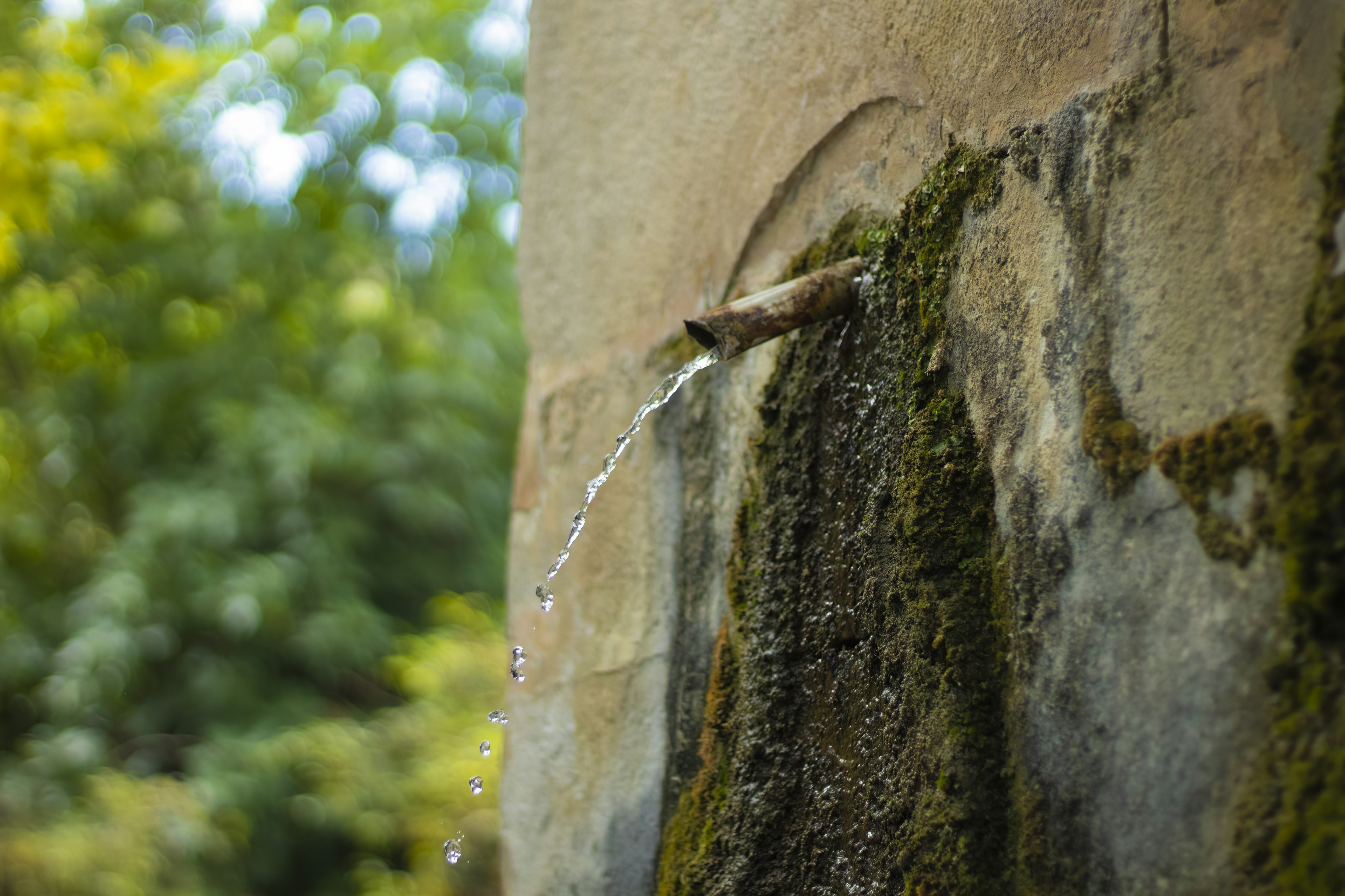 James Boué (@lemerle06) | Unsplash Photo Community