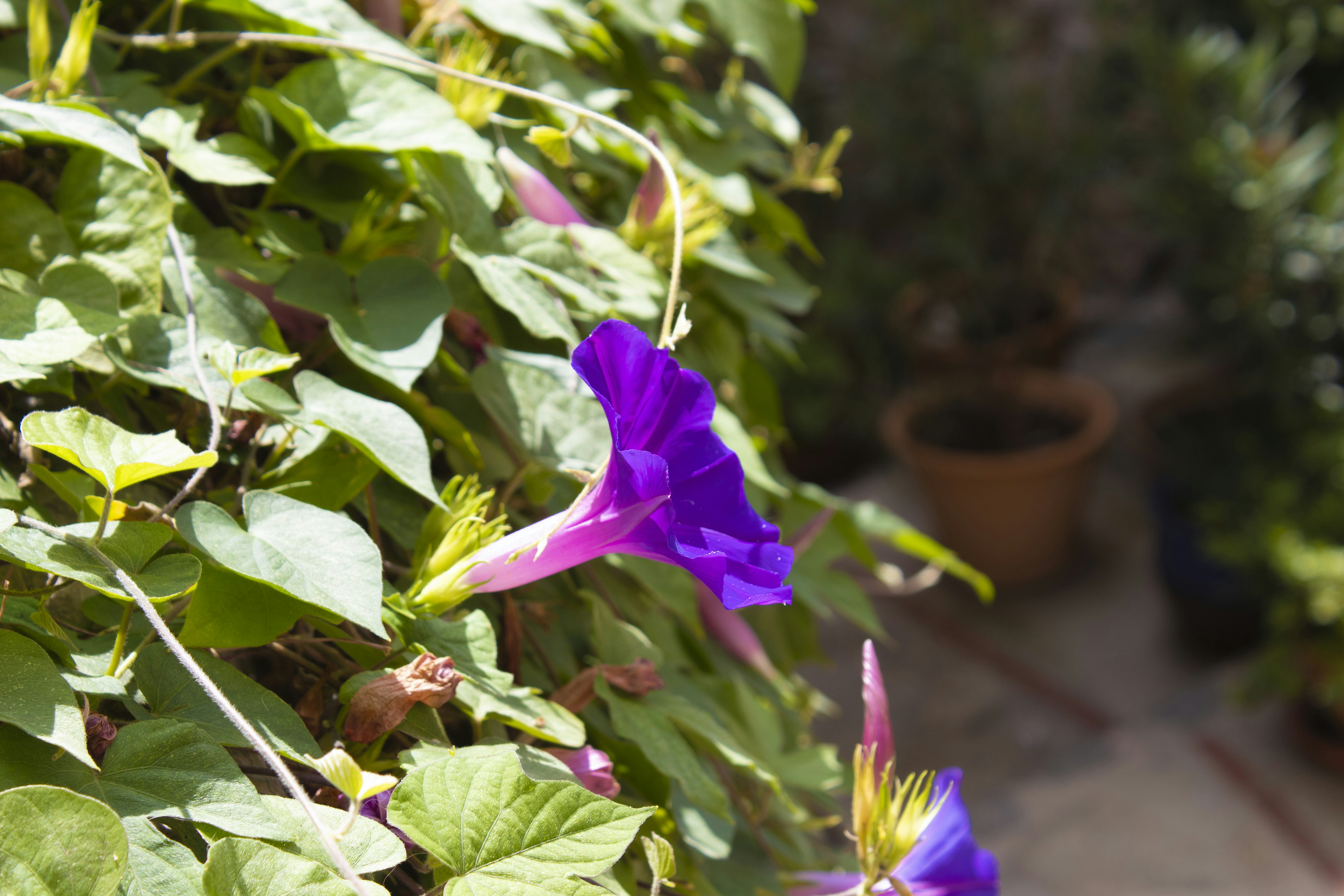 James Boué (@lemerle06) | Unsplash Photo Community