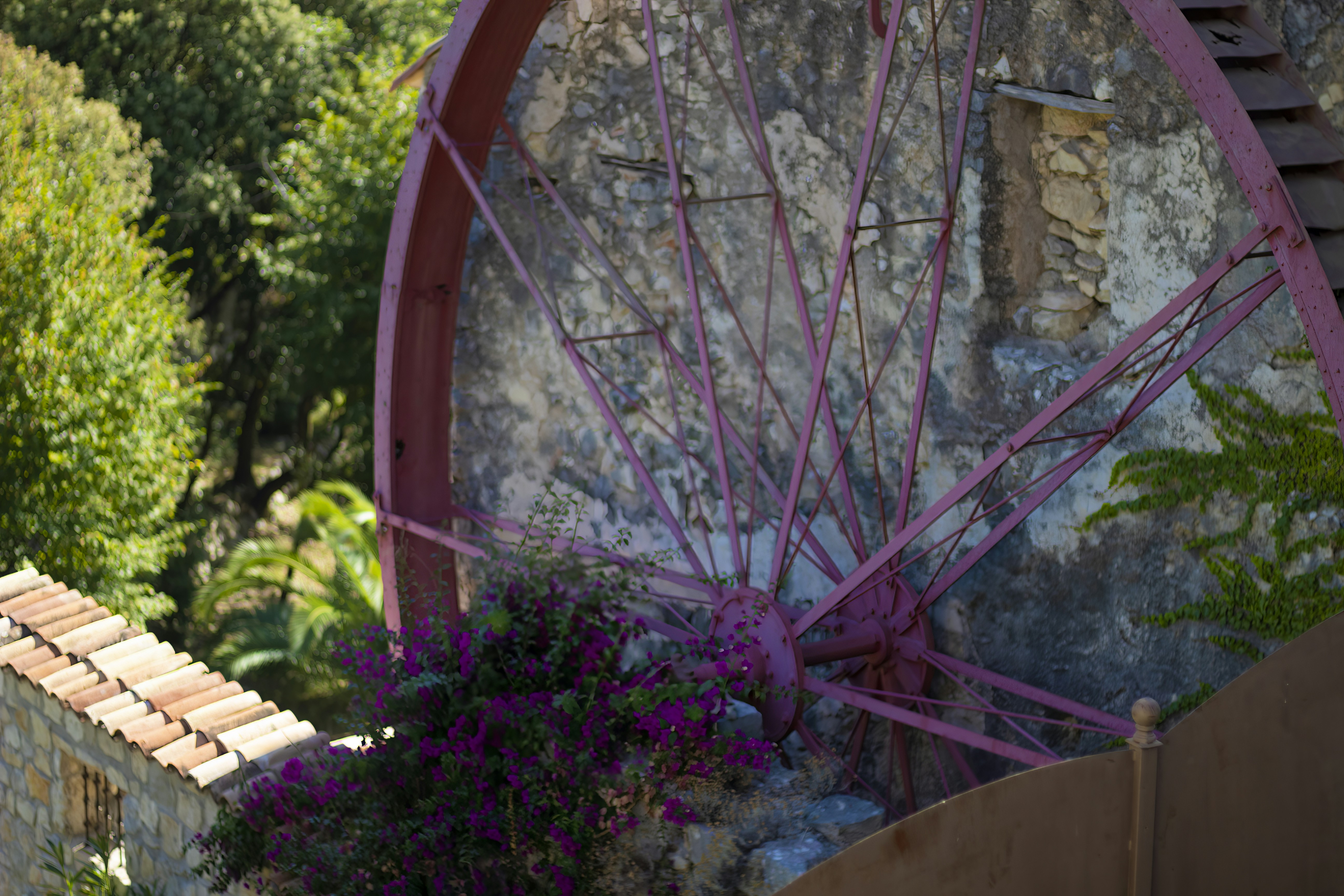 James Boué (@lemerle06) | Unsplash Photo Community