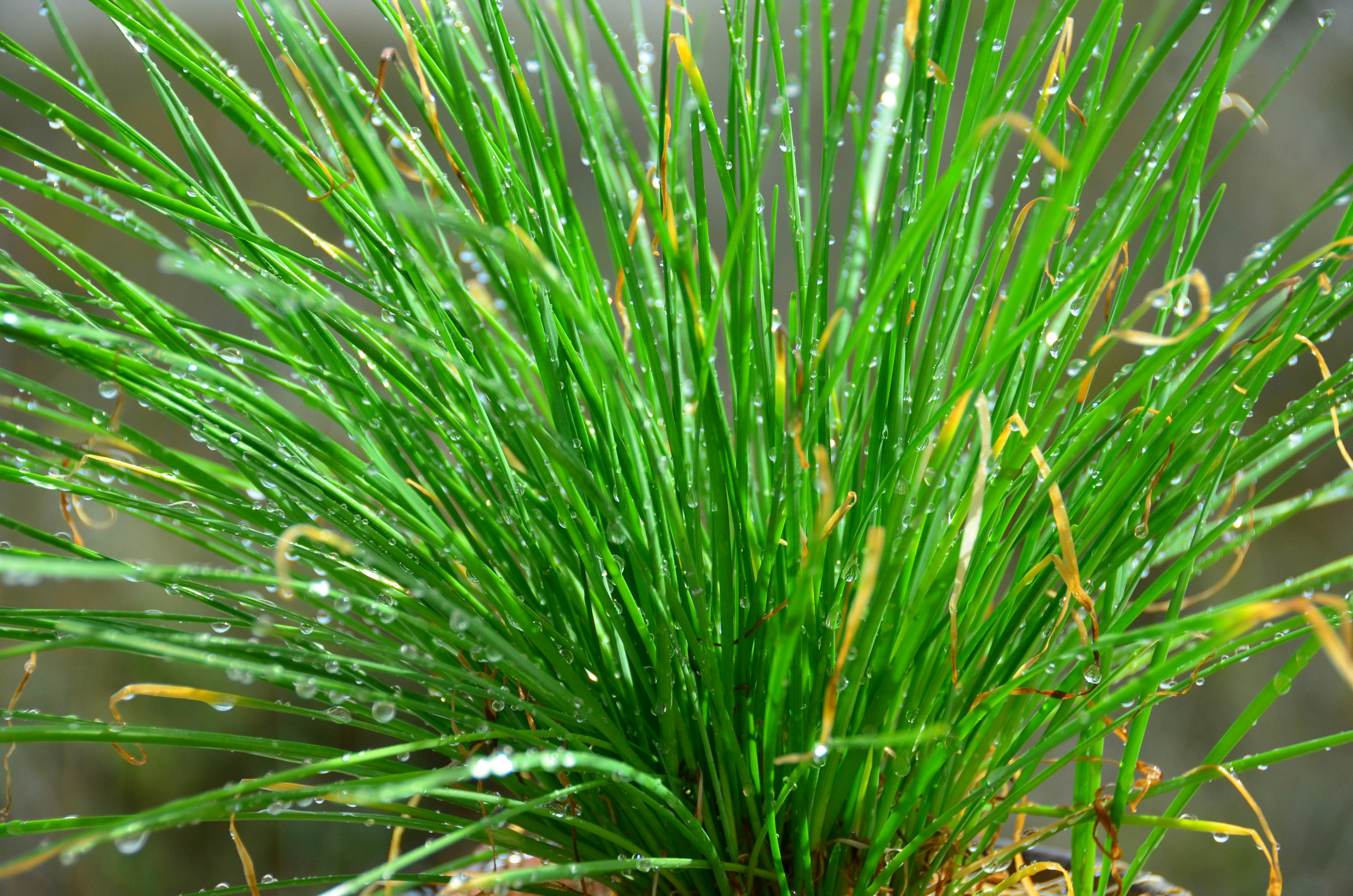 Marisa Punt (@seepertjie) | Unsplash 사진 커뮤니티