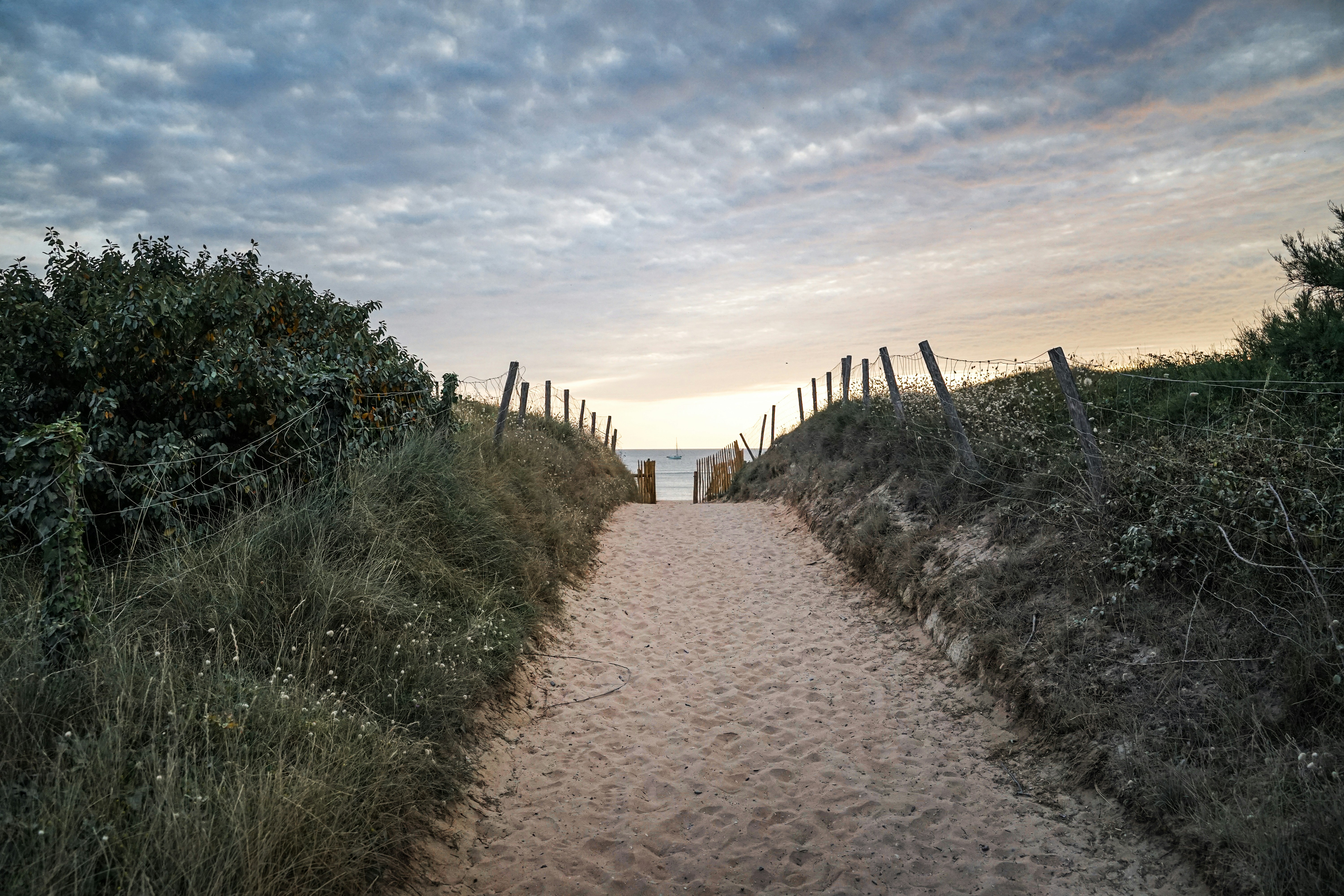 Path to the ocean, France.