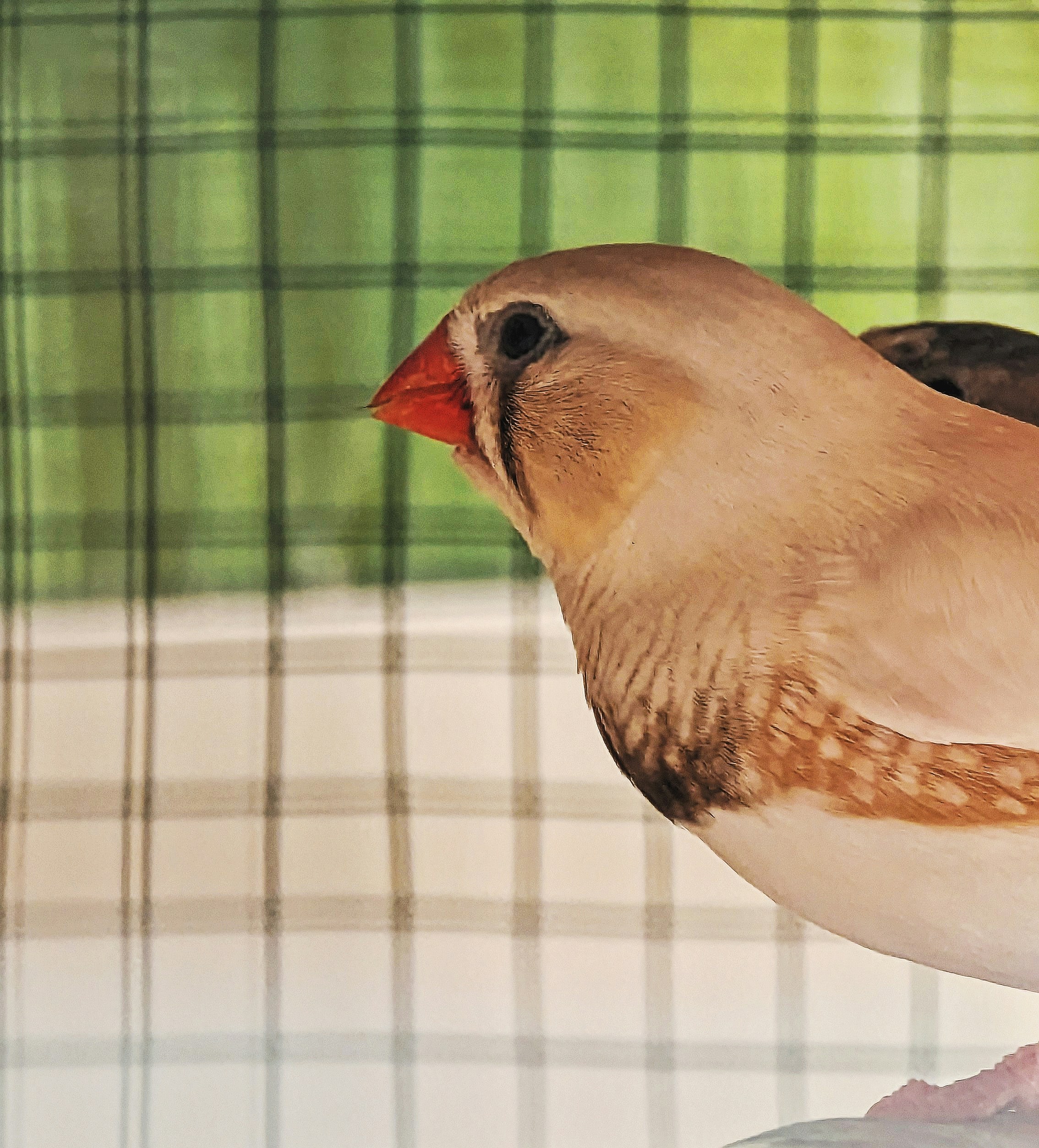 Photo by Yousuf Alb with Google Pixel 7 Pro