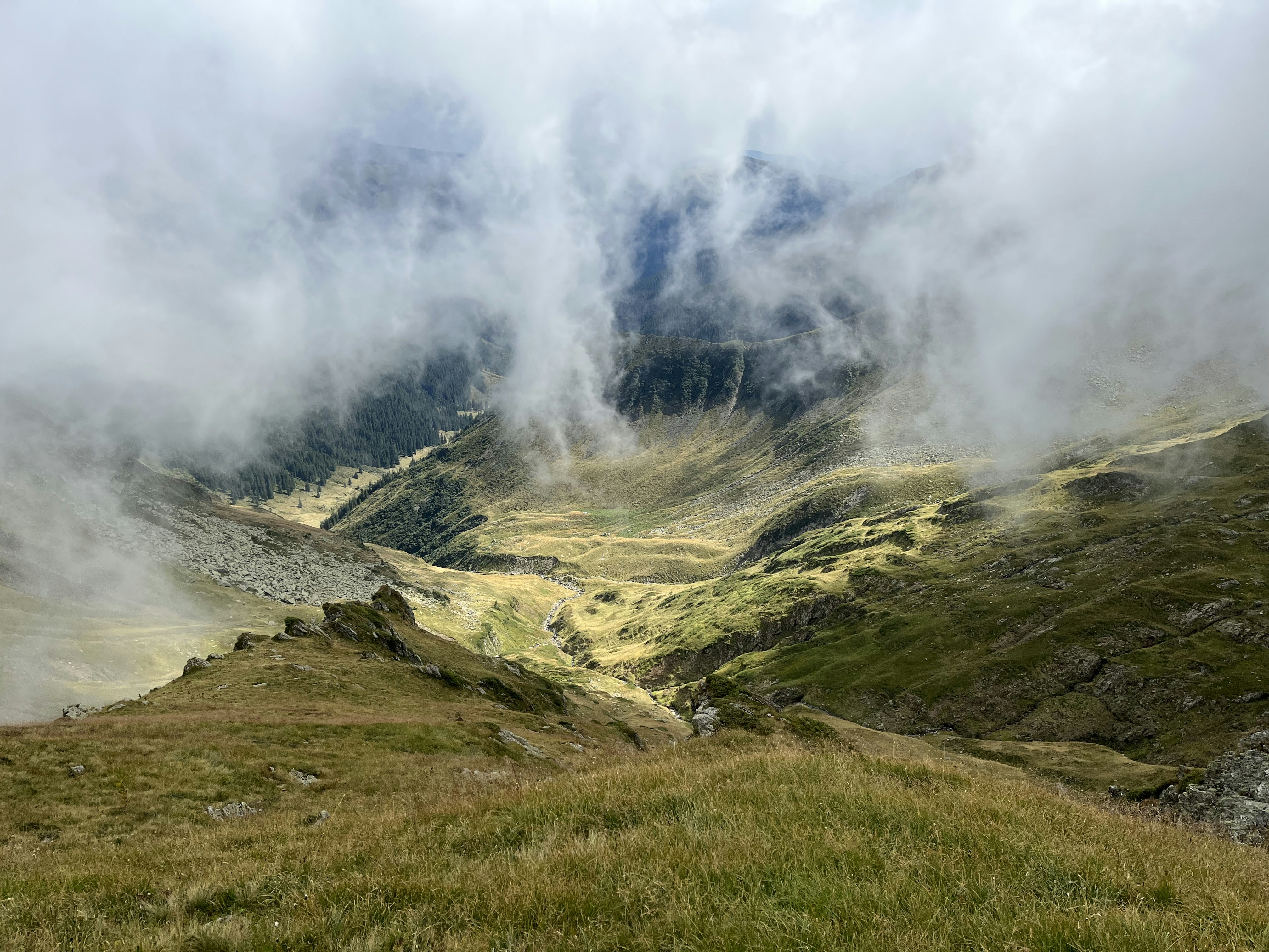 A sweeping view of a valley shrouded in mist, revealing lush greenery and rugged terrain. The clouds gracefully envelop the landscape, creating a mystical atmosphere.